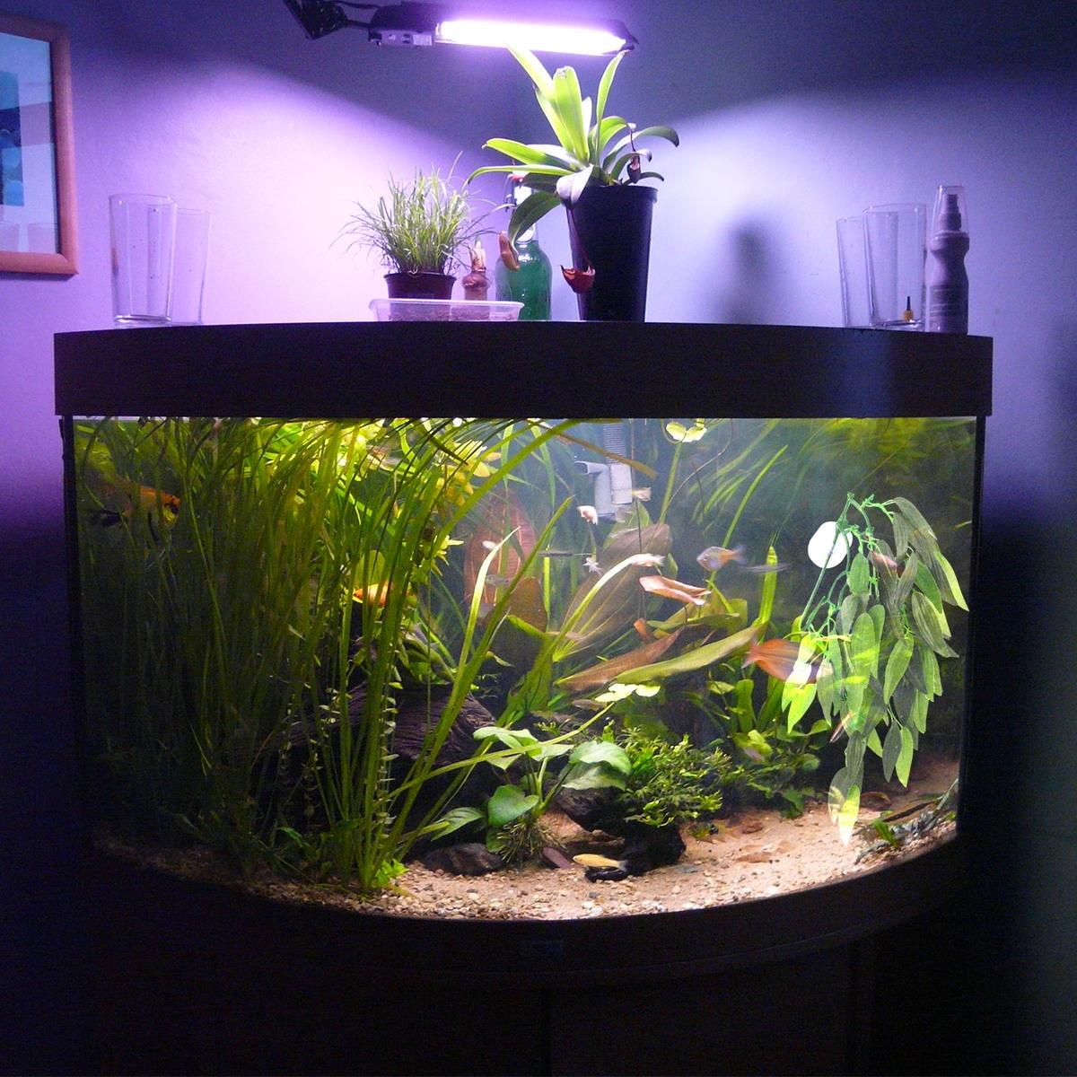 AURARMLET Fish Tank Decorative Plants Seaweed Decor Green Resin for ...