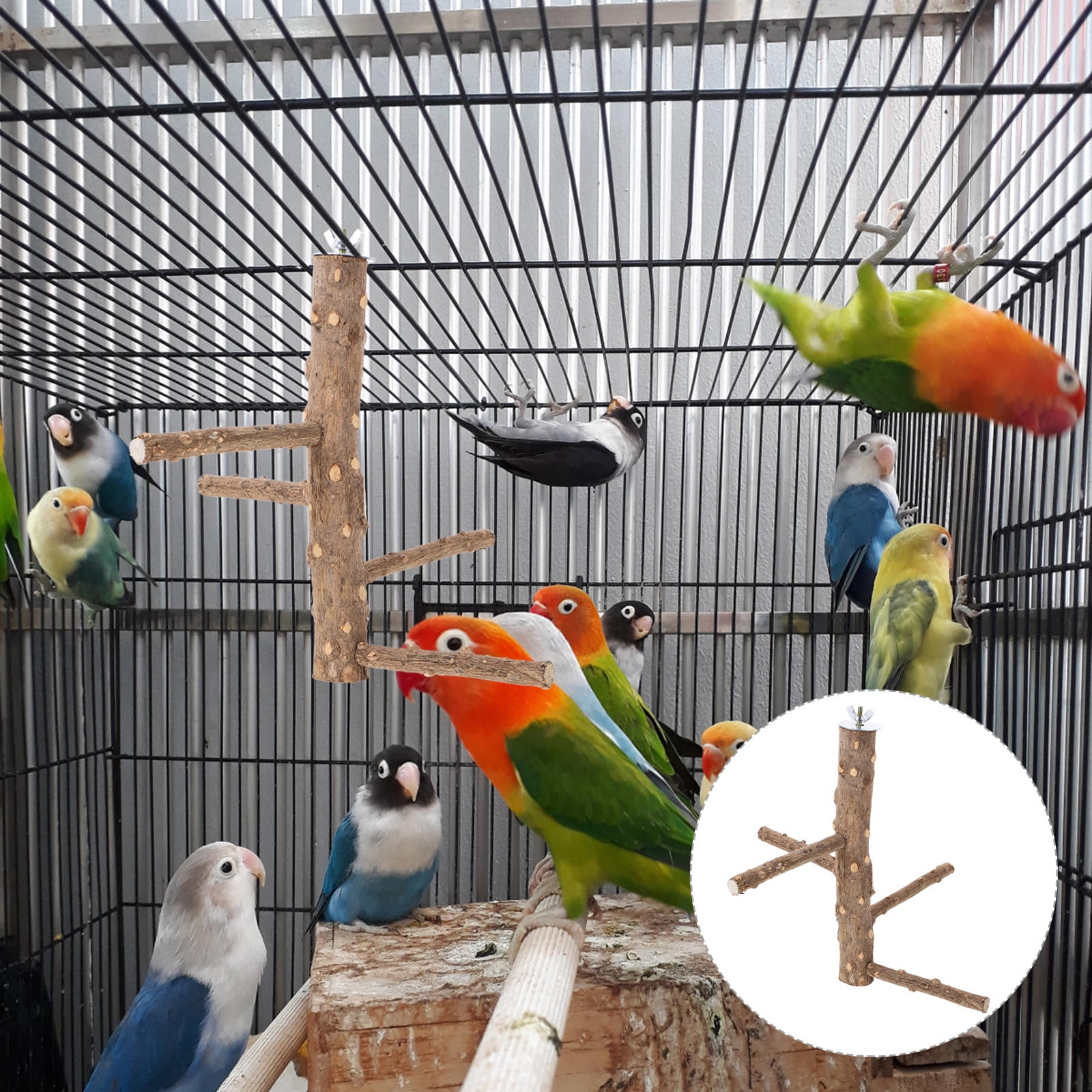AURARMLET Pet Parrot Playstand Parrot Perch Stand Wooden 1 Set Pet ...