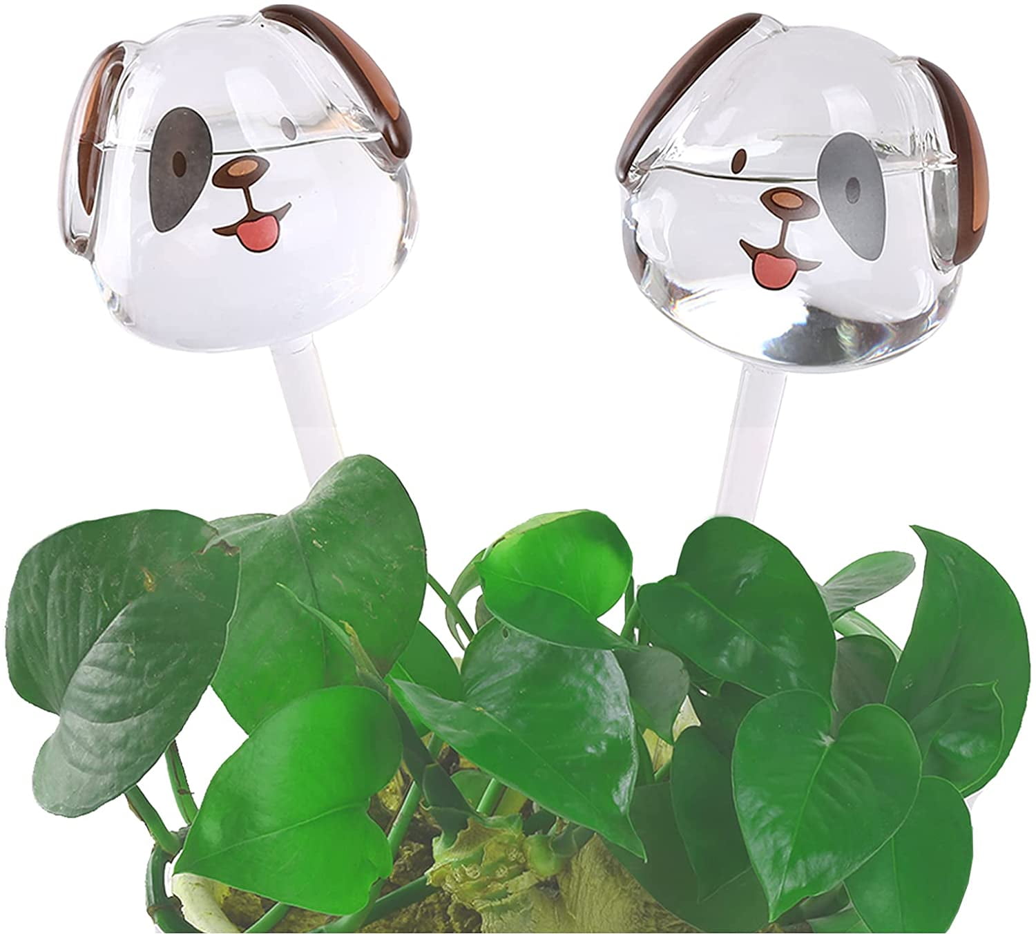 AURORA TRADE 2 Pcs Planter Waterer Self Watering Globes, Transparent ...