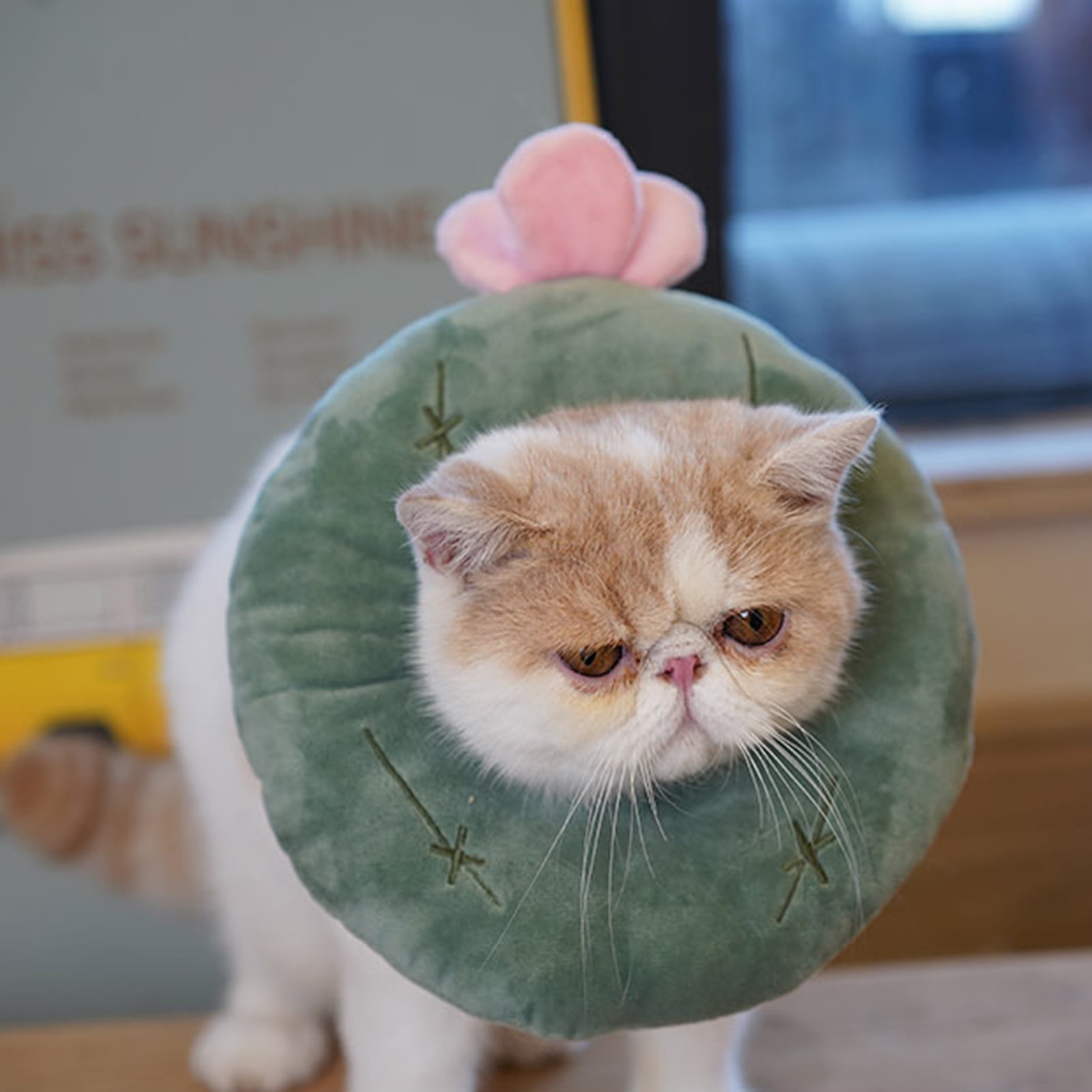AURORA TRADE Adjustable Cat Recovery Collar, Cute Cat Collar, Soft Cone ...