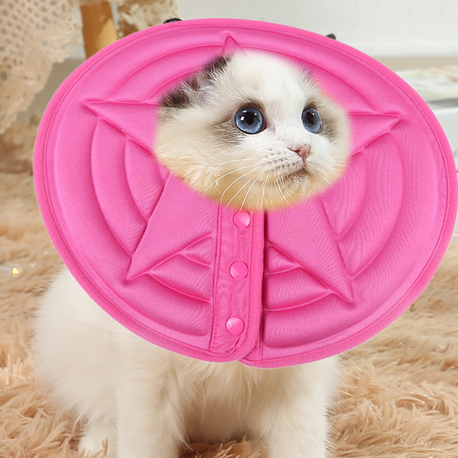 AURORA TRADE Cat Cone Collar, Cute Waterproof EVA Elizabethan e Collar ...