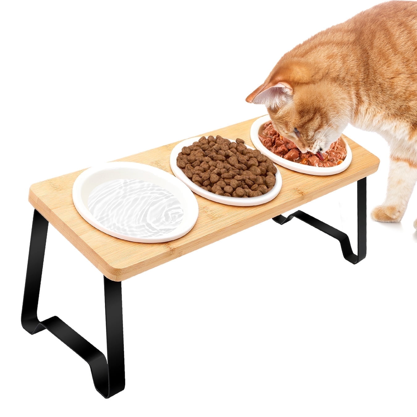 AUTOWT Elevated Cat Bowls, 15° Tilted Raised with 3 Ceramic Dishes ...