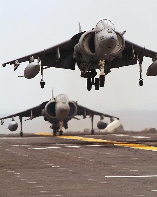 AV-8 / AV-8B Harrier VMA-214 Black Sheep - 24x36 Inch Laminated ...