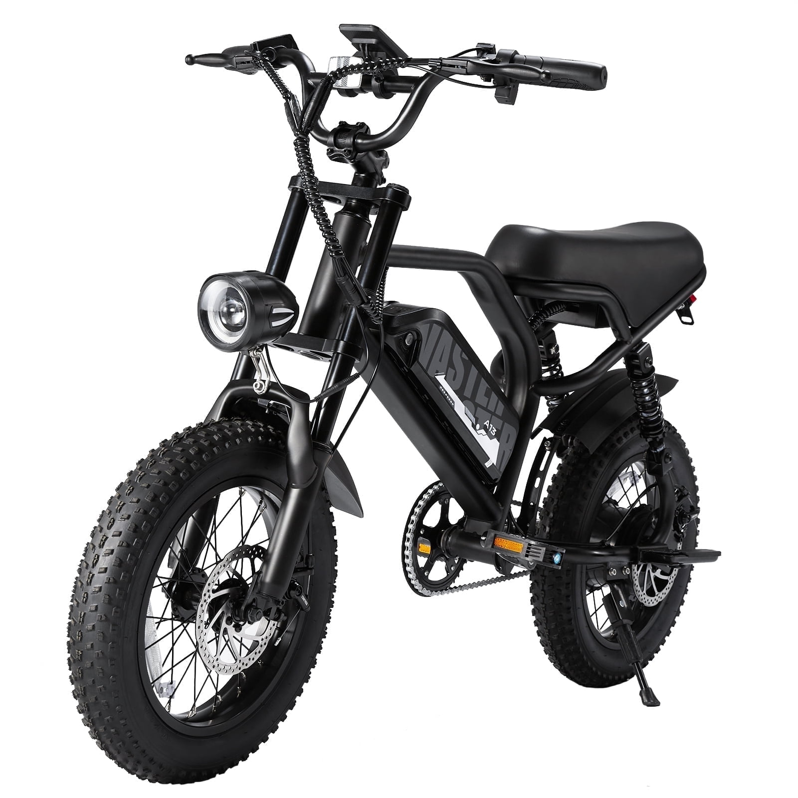 AVDL Electric Bike,16" Fat Tire Ebike,500W Motor,48V 12Ah Removable ...