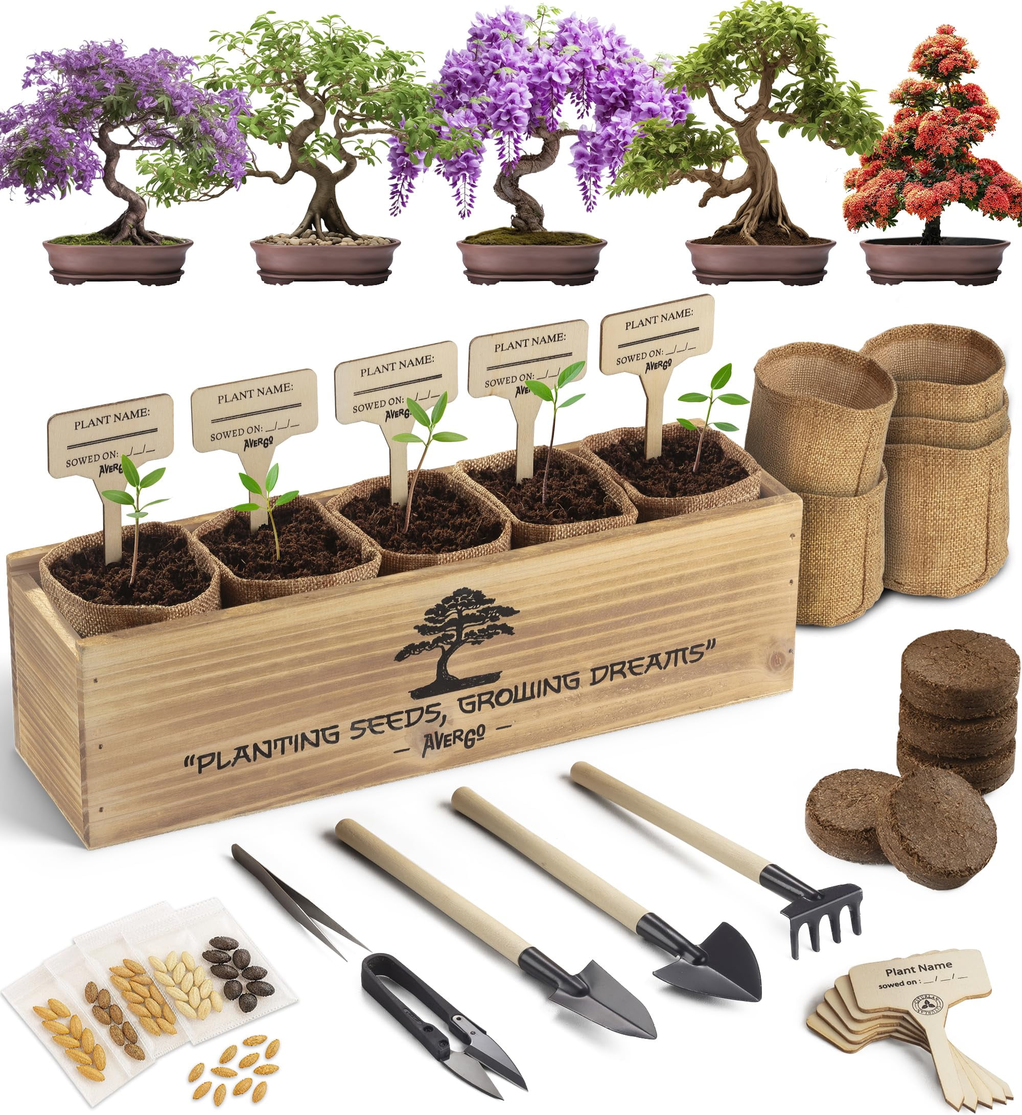 AVERGO Bonsai Tree Kit - 5X MVR1 Unique Japanese Bonzai Trees ...