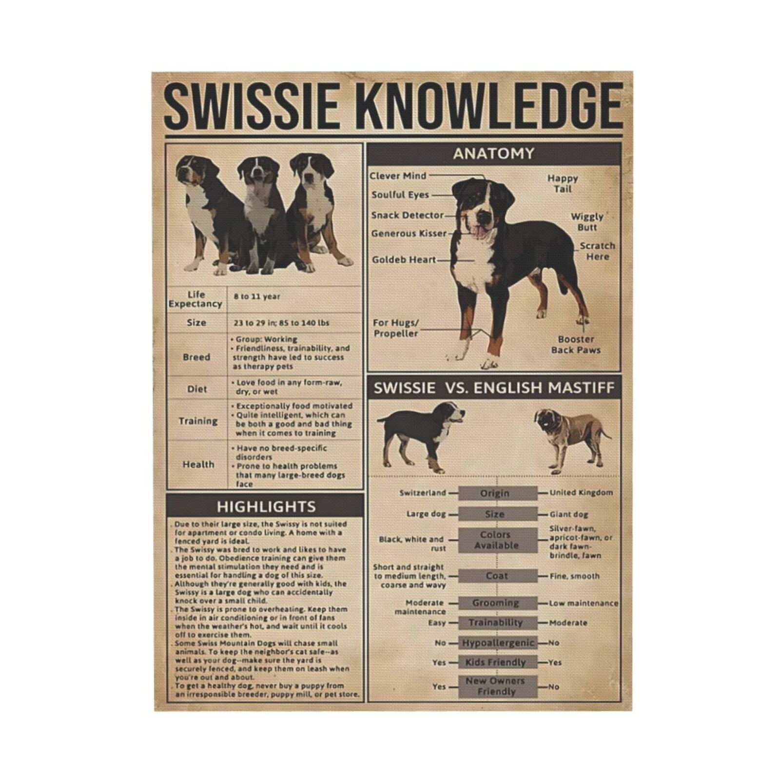 AVOI Anatomy Of Swissie Canvas Printed Wall Art Swissie Knowledge ...