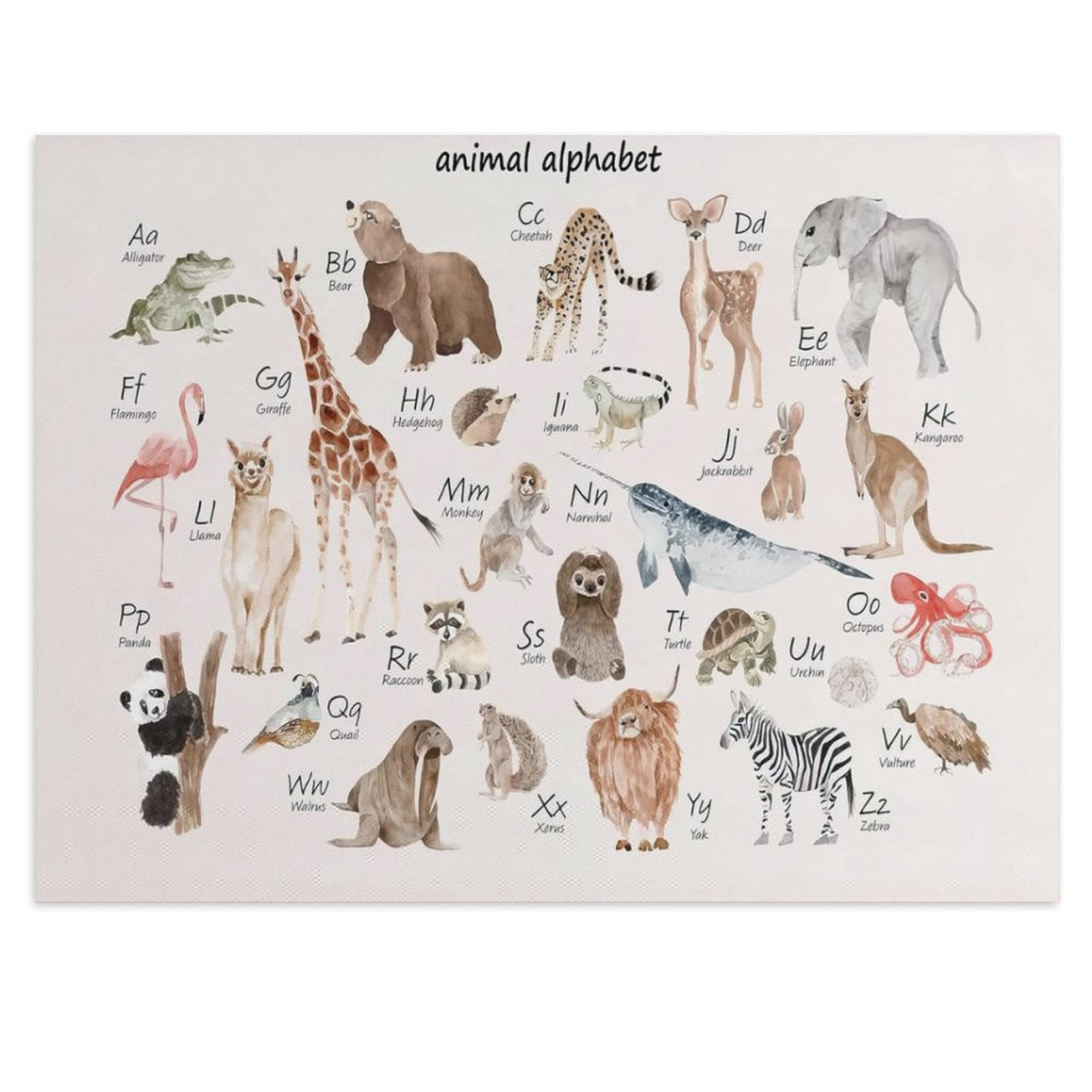 AVOI Animal Alphabet Chart|Alphabet Canvas|Educational Poster|Playroom ...