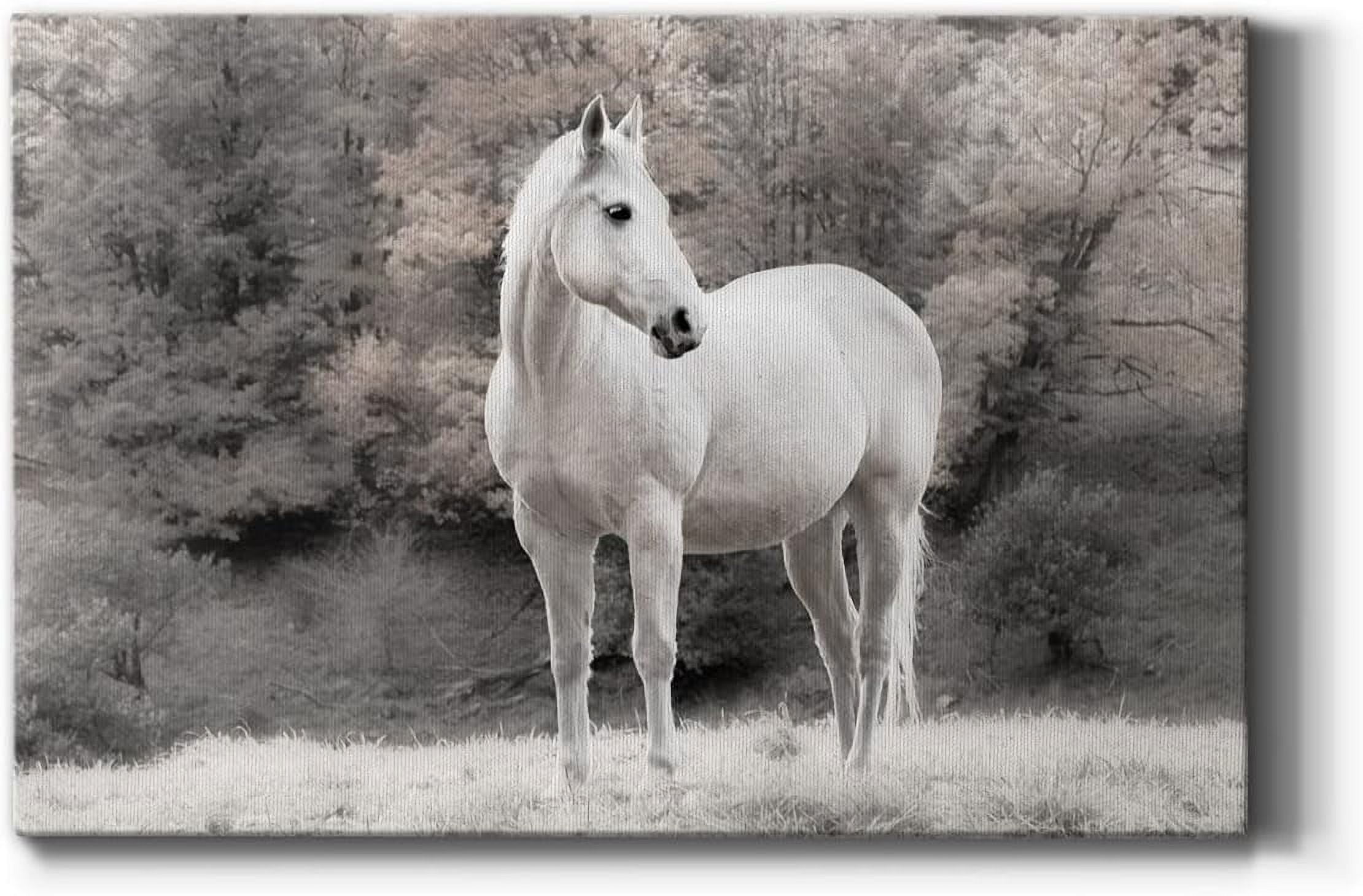 AVOI Animal Canvas Wall Art for Living Room Bathroom Bedroom Kitchen ...