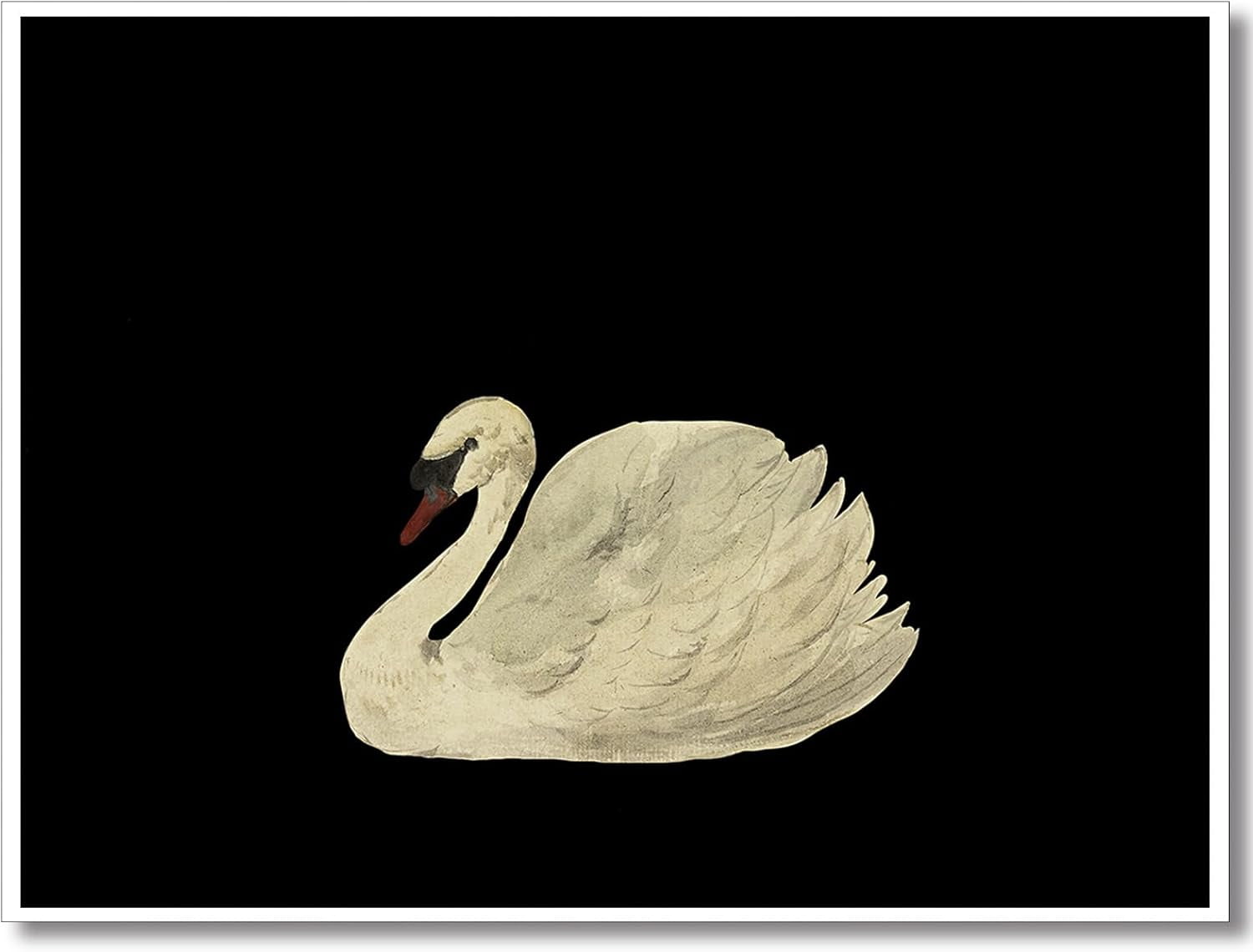 AVOI Antique Swan Canvas Wall Art, Modern Mute Watercolor Animal ...
