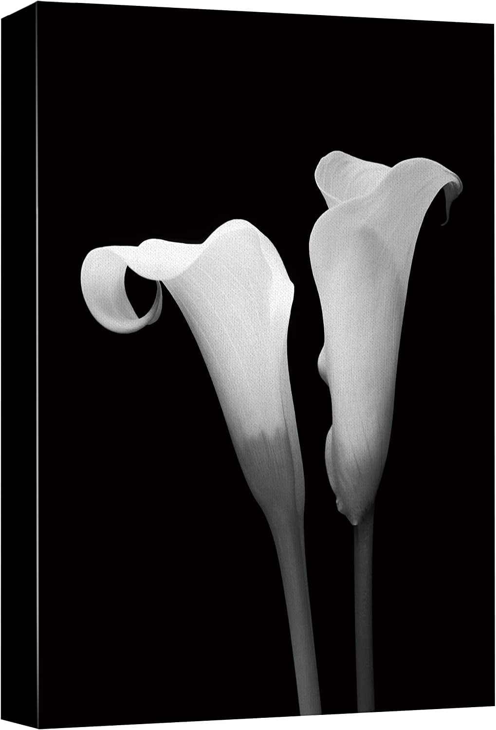 AVOI Canvas Print Wall Art Calla Lily Flower Duo Floral Plants ...