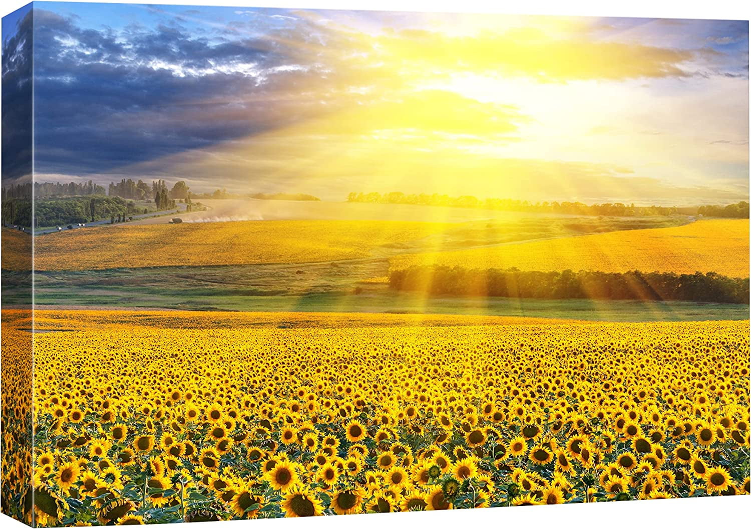 AVOI Canvas Print Wall Art Sunlight Shines on Sunflower Field Floral ...