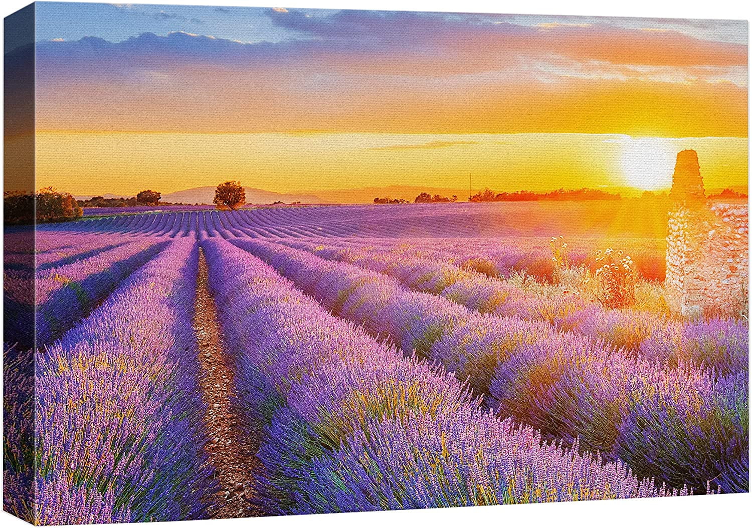AVOI Canvas Print Wall Art Sunset Over Purple Lavender Flower Field ...