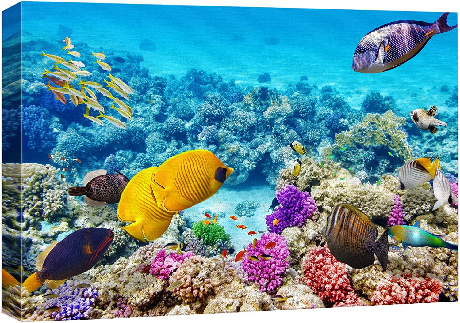 AVOI Canvas Print Wall Art Tropical Underwater Ocean Sea Fish Reef ...