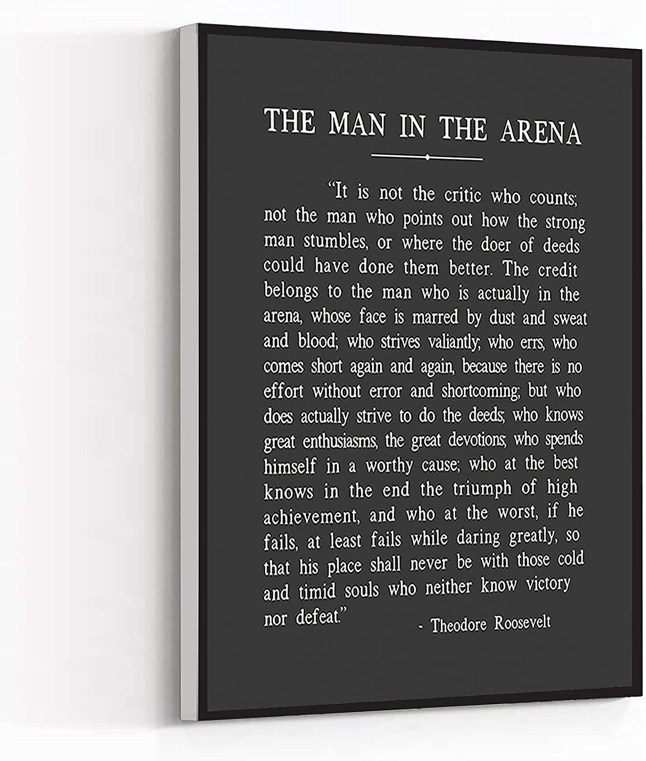 AVOI Canvas Wall Art The Man In The Arena Metal Print,Theodore ...