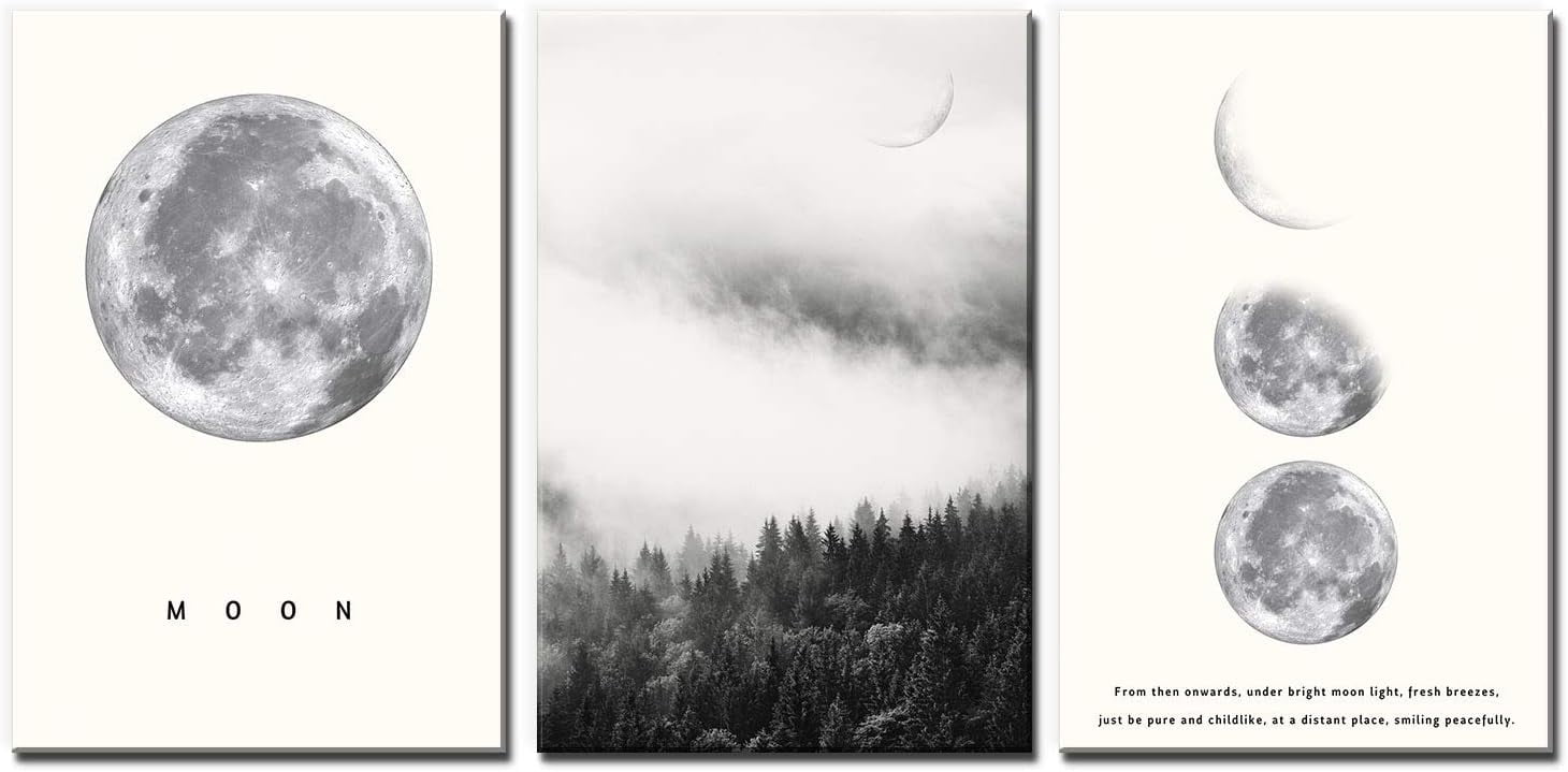 AVOI Canvas Wall Art - The Moon in Different Lunar Phases - Giclee ...