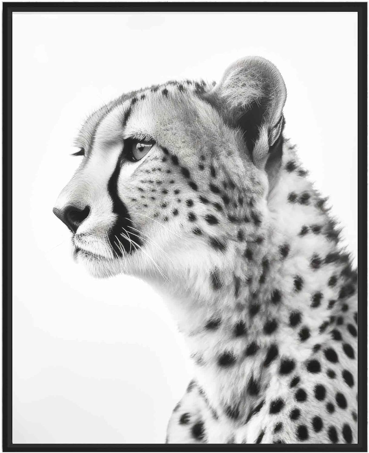 AVOI Cheetah Art Prints Posters, Black and White Photography Wall Art ...