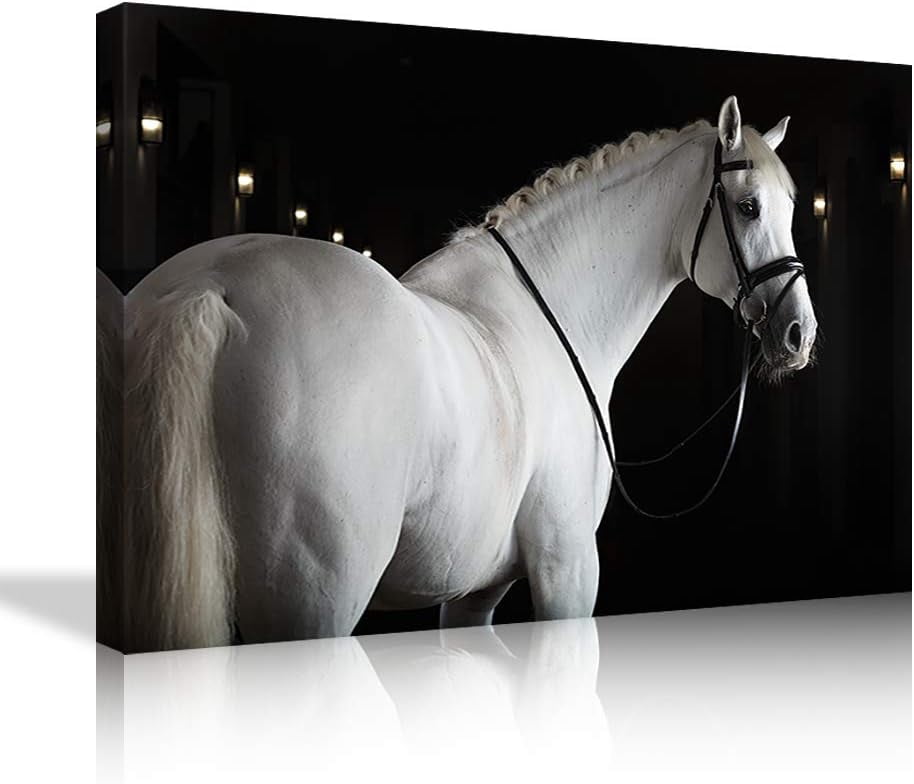 AVOI Contemporary Large Panel Artwork White Horse Black and White Wall ...