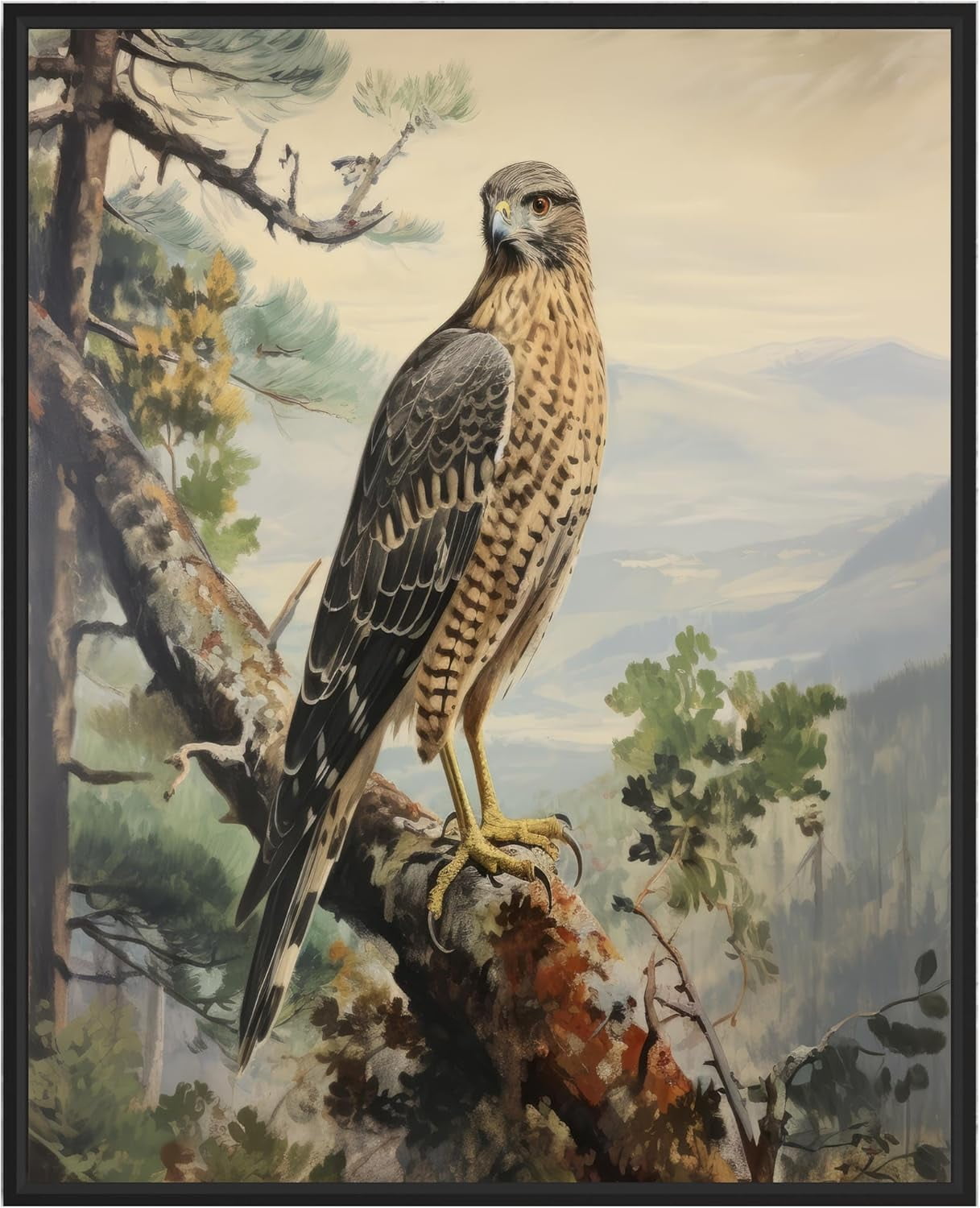 AVOI Cooper's Hawk Art Print Poster, Falcon, Hawk, Eagle Drawing, Birds ...