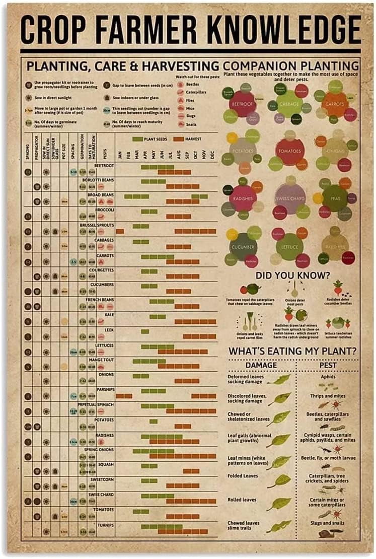 AVOI Crop Farmer Knowledge less Posters Planting Care & Harvesting ...