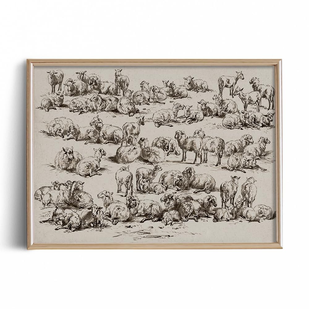 AVOI Cute Sheep Mutton Art Print Poster - Goat Lamb Ram Drawing Etching ...