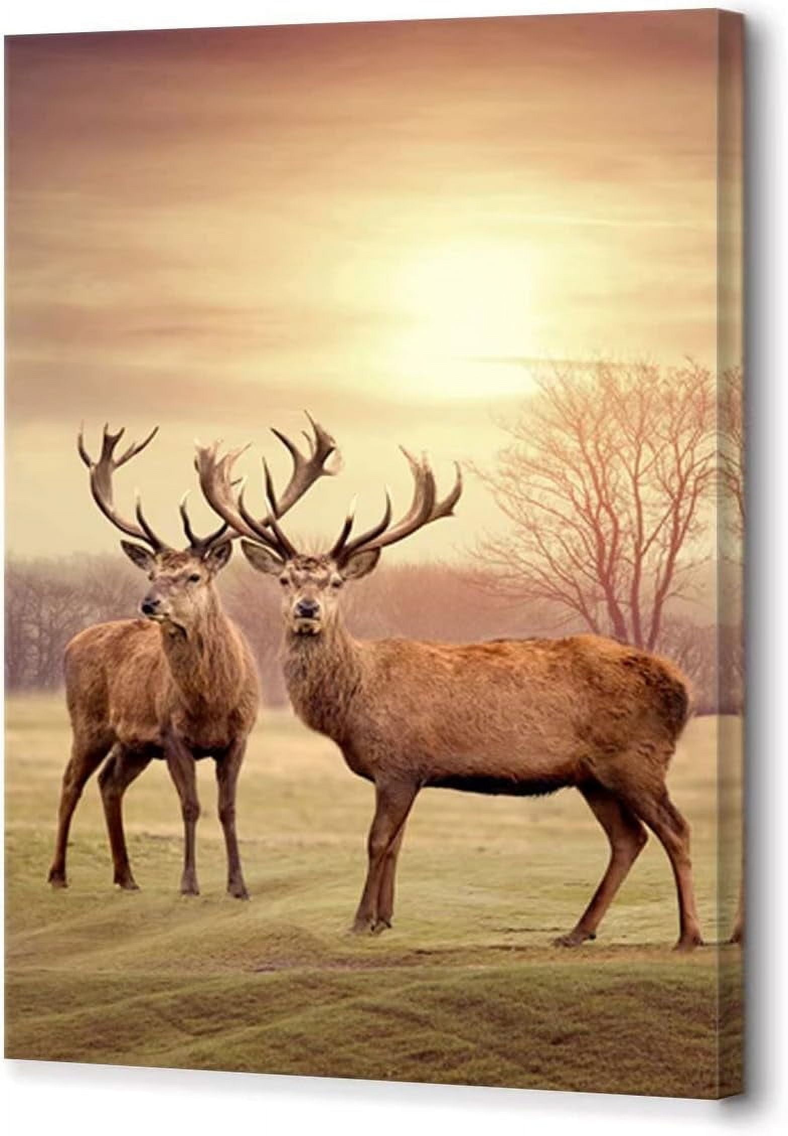 AVOI Deer Wall Art Canvas Painting Artwork Animal Pictures Posters ...