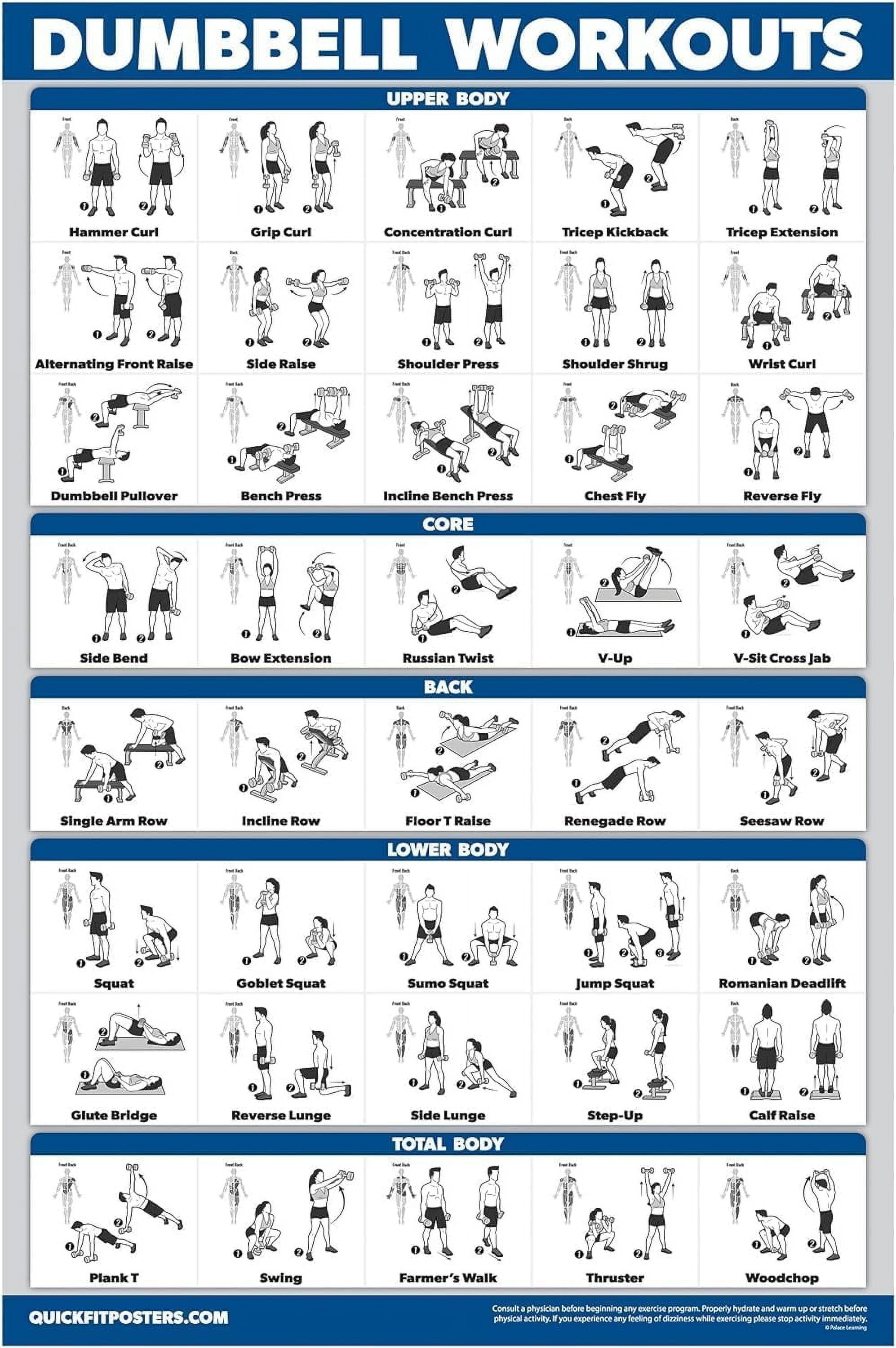 AVOI Dumbbell Workout Exercise Poster - Free Weight Body Building Guide ...
