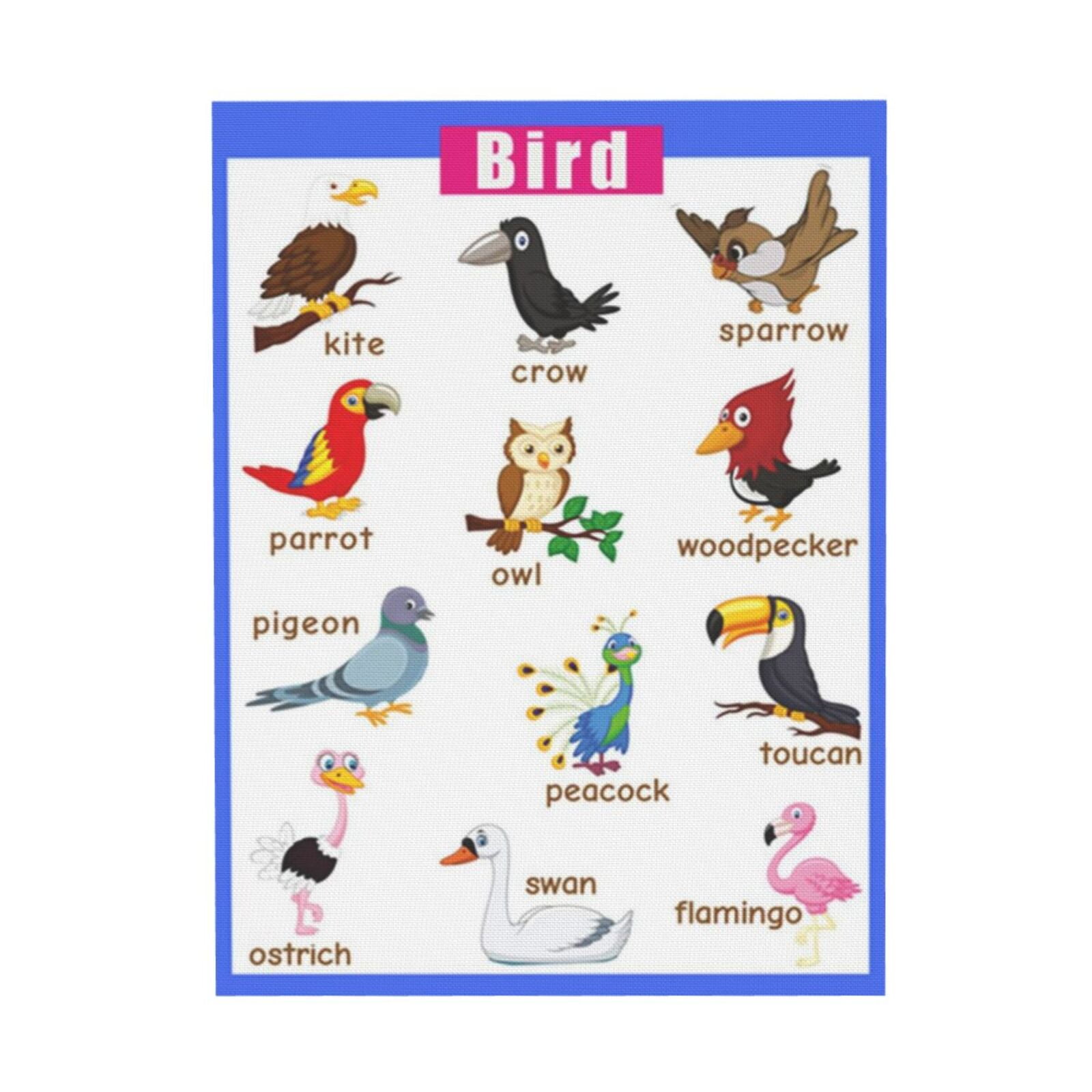 AVOI Educational Posters|Charts For Preschool Classroom Decorations ...