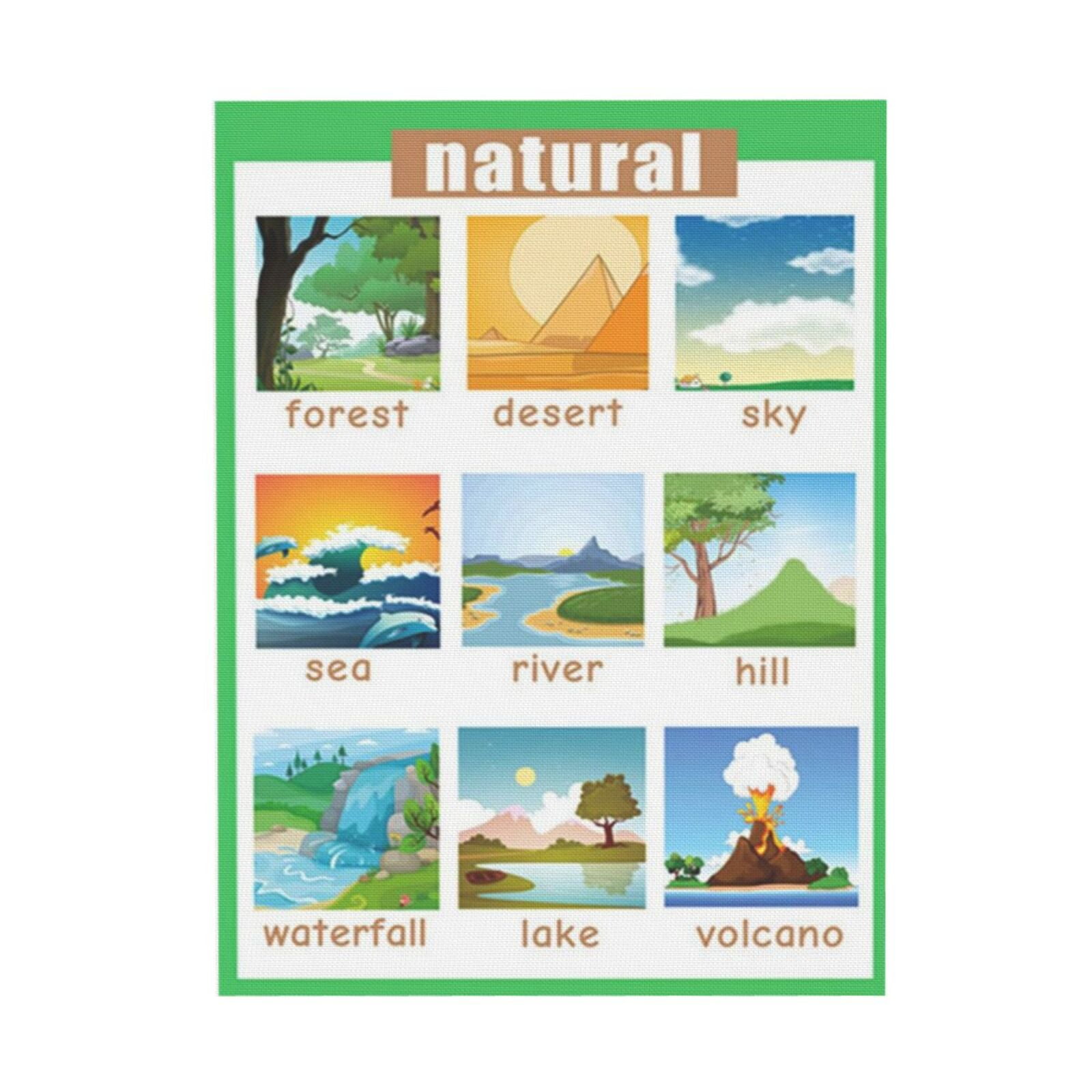 AVOI Educational Posters|Charts For Preschool Classroom Decorations ...