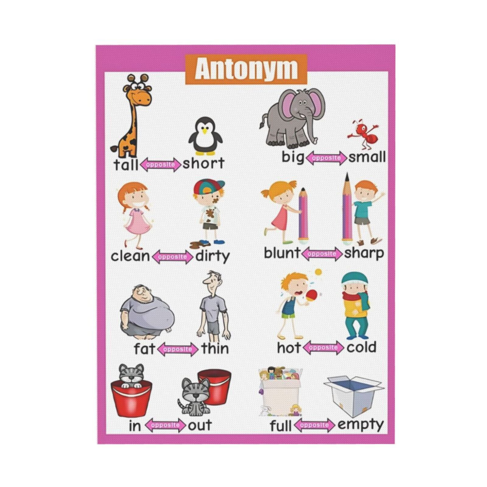 AVOI Educational Preschool Posters|Educational Wall Charts|School Decorations Classroom ...