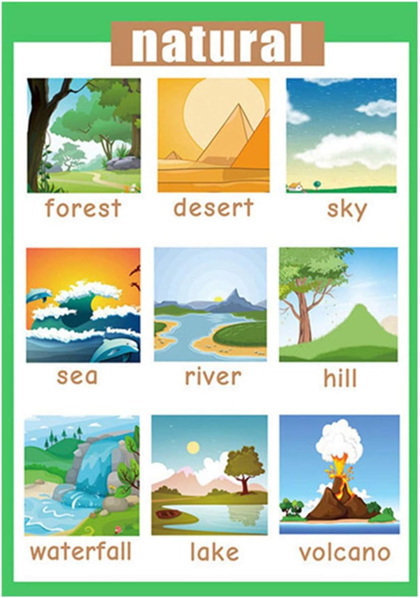 AVOI Educational posters|Laminated charts for preschool classroom ...