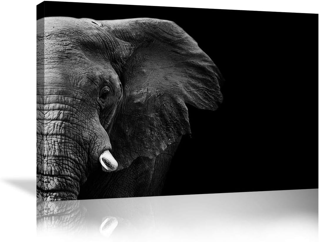 AVOI Elephant Wall Art Animal Prints on Canvas and Pictures for Living ...