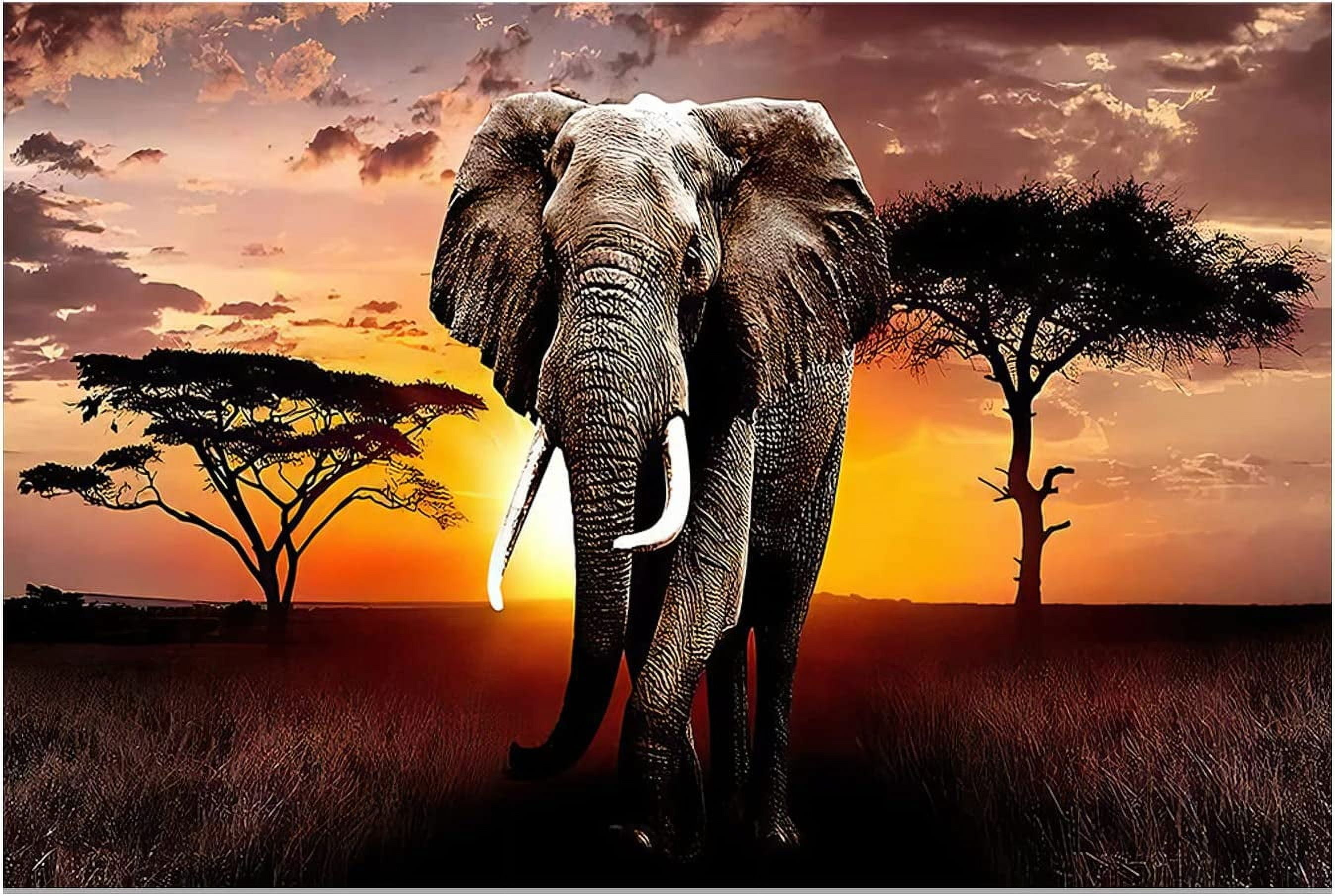 AVOI FC3069 Canvas Wall Art Elephant Picture African Wild Animals ...