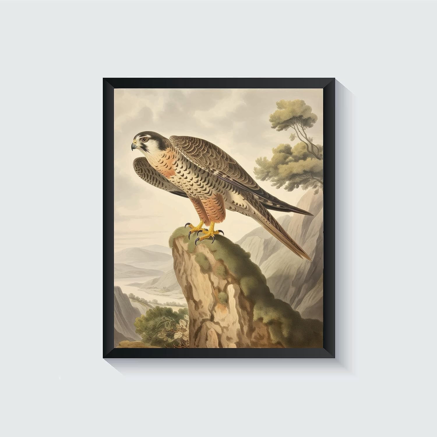 AVOI Falcon Poster Art Print Retro Vintage Bird Wall Art Poster Decor ...