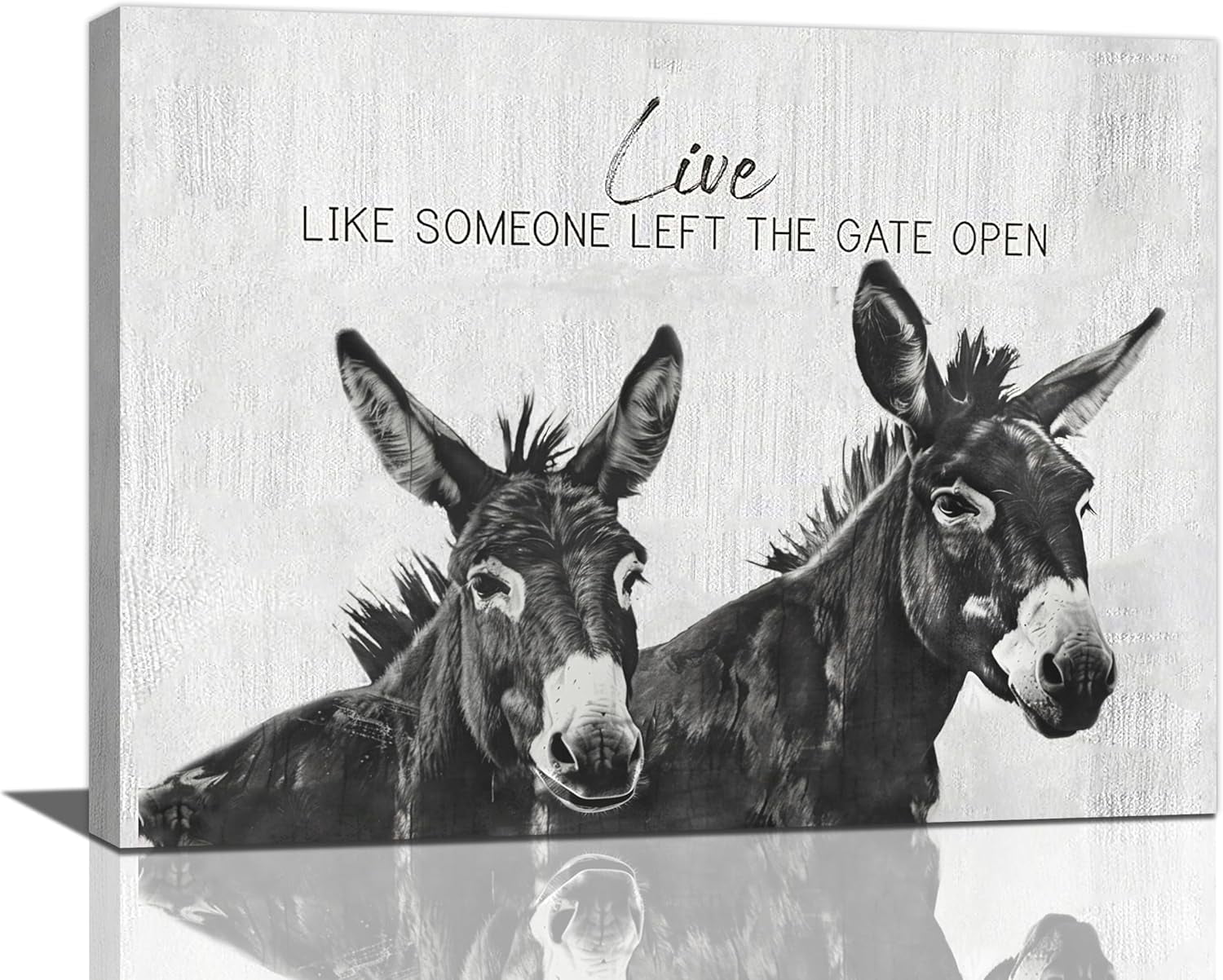 AVOI Farmhouse Donkey Wall Art and Donkey Bathroom Pictures Wall Decor ...