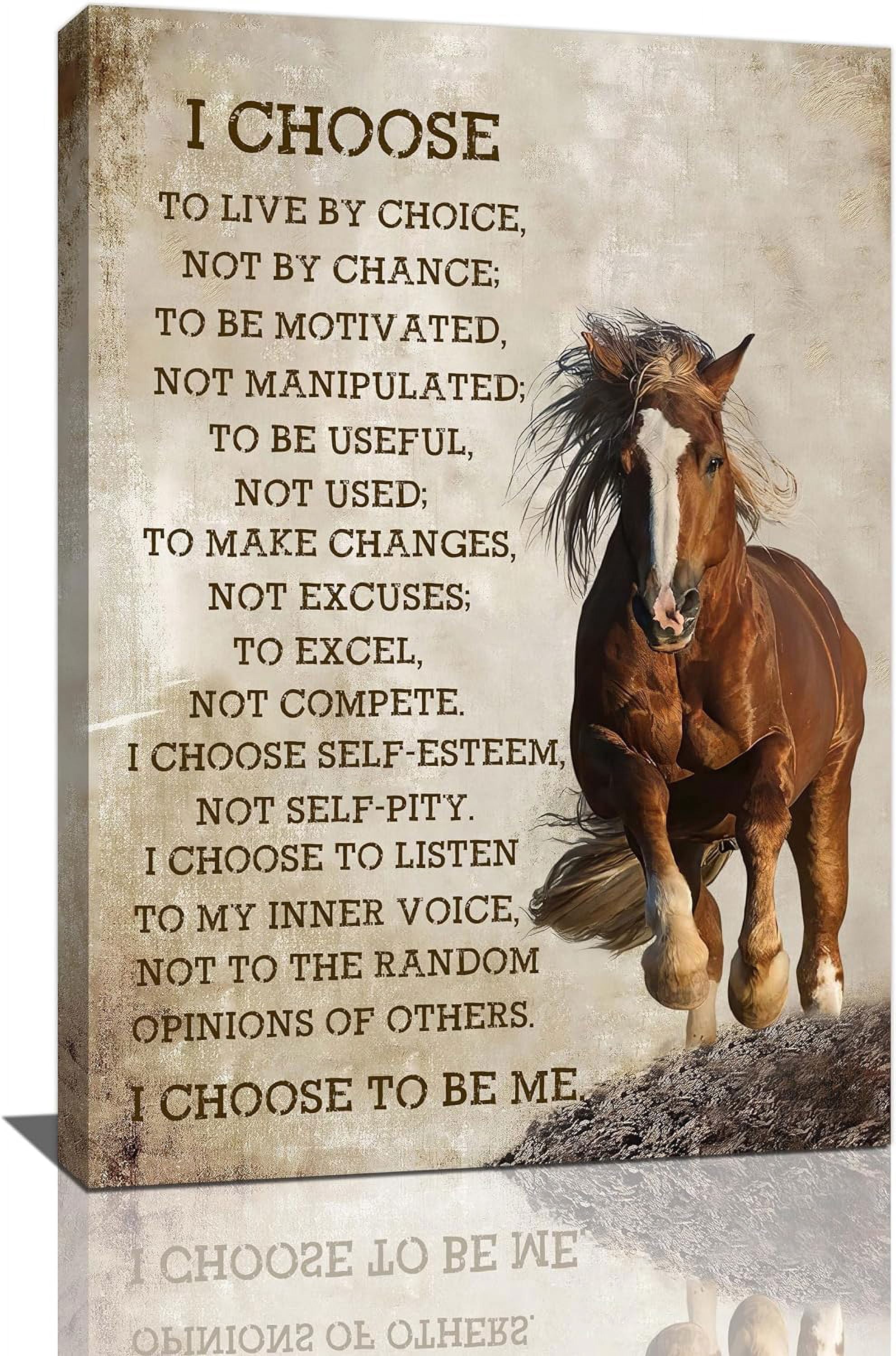 AVOI Farmhouse Horse Bathroom Wall Art Decor Vintage Horse Pictures ...
