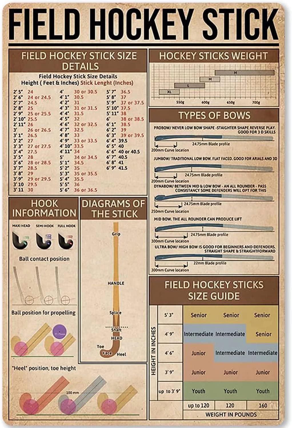 AVOI Field Hockey Stick Knowledge Poster Room Artwork Decor Knowledge ...