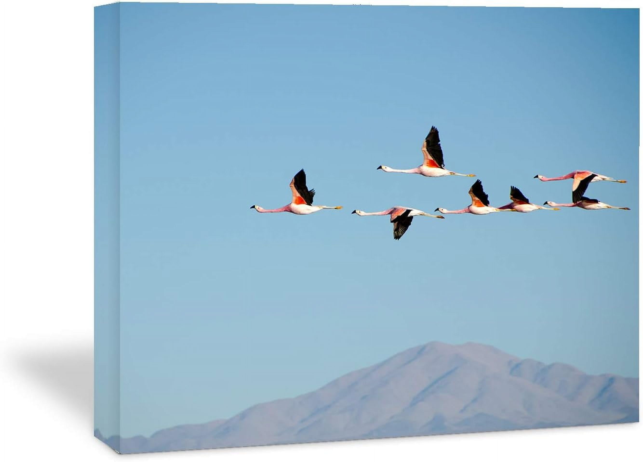 AVOI Flaming Bird in Flight Picture Canvas Prints for Living Room ...