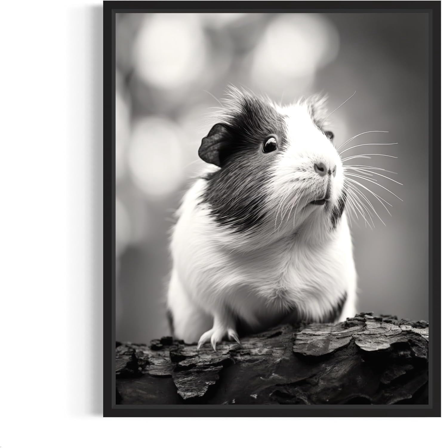 AVOI Guinea Pig Art Prints Posters, Black and White Photography Wall ...