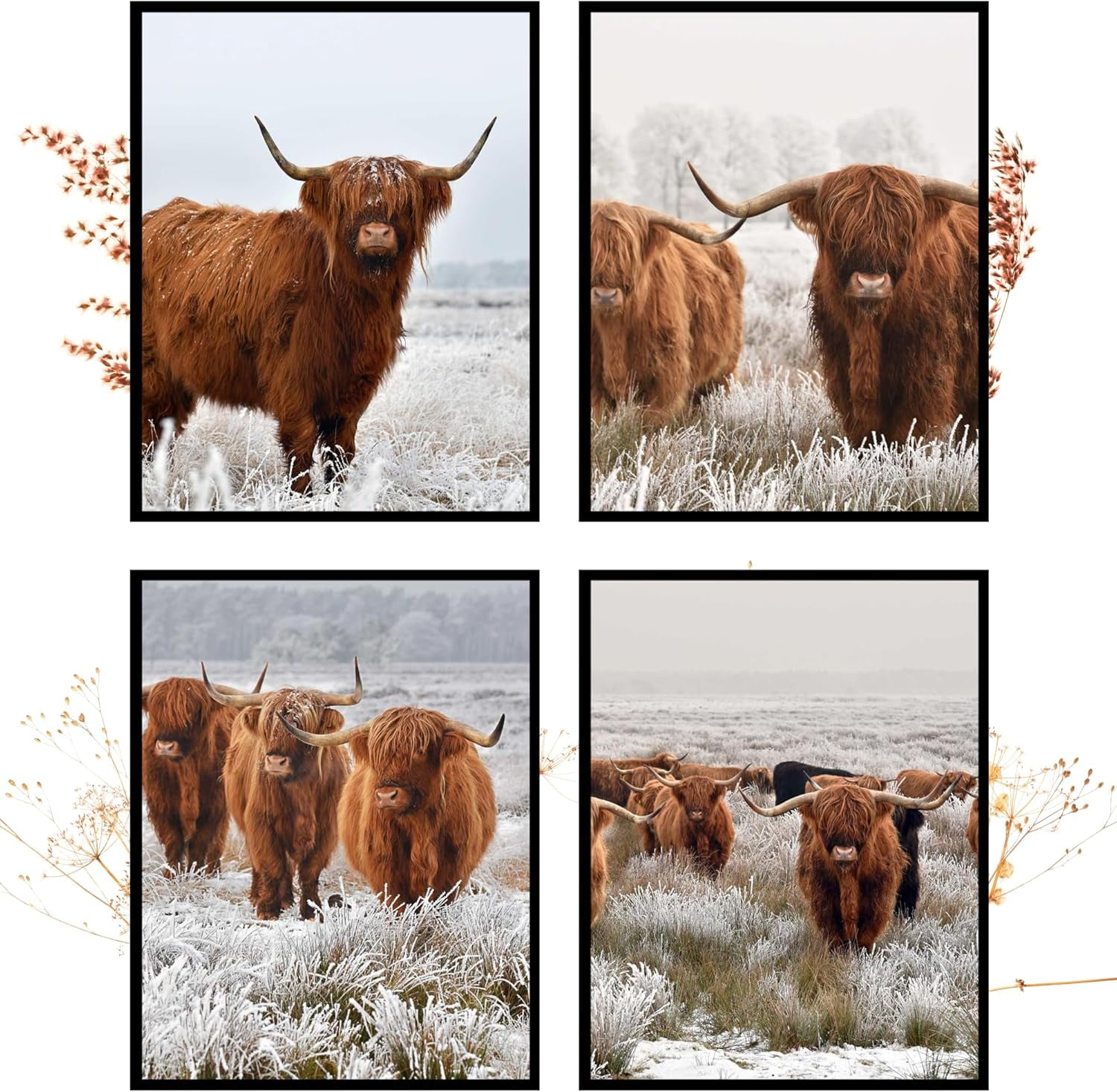 AVOI Highland Cow Picture, Highland Cow Pictures Wall Decor, Highland ...