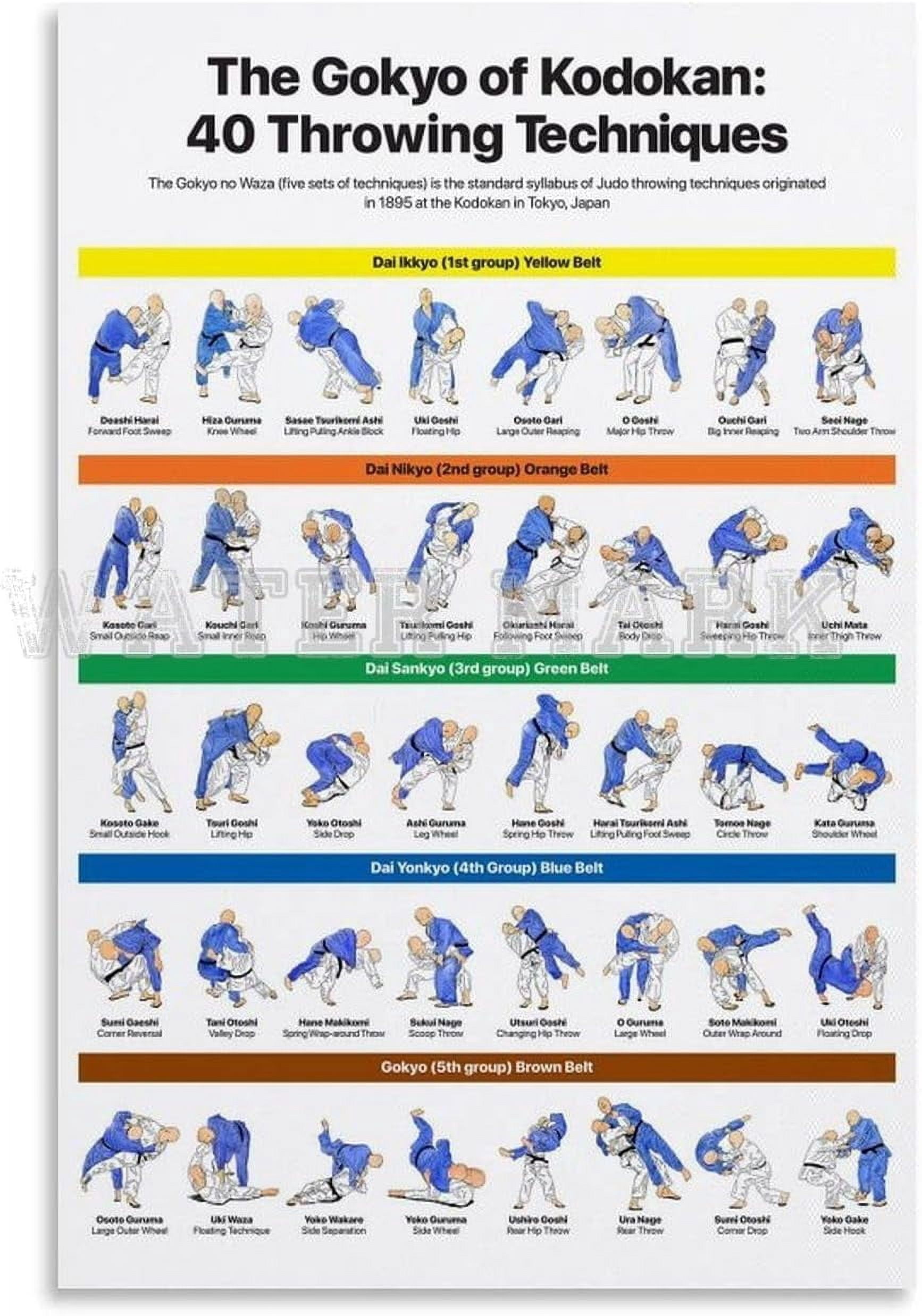 AVOI Judo Throws Poster Throwing Techniques Chart Poster Canvas ...