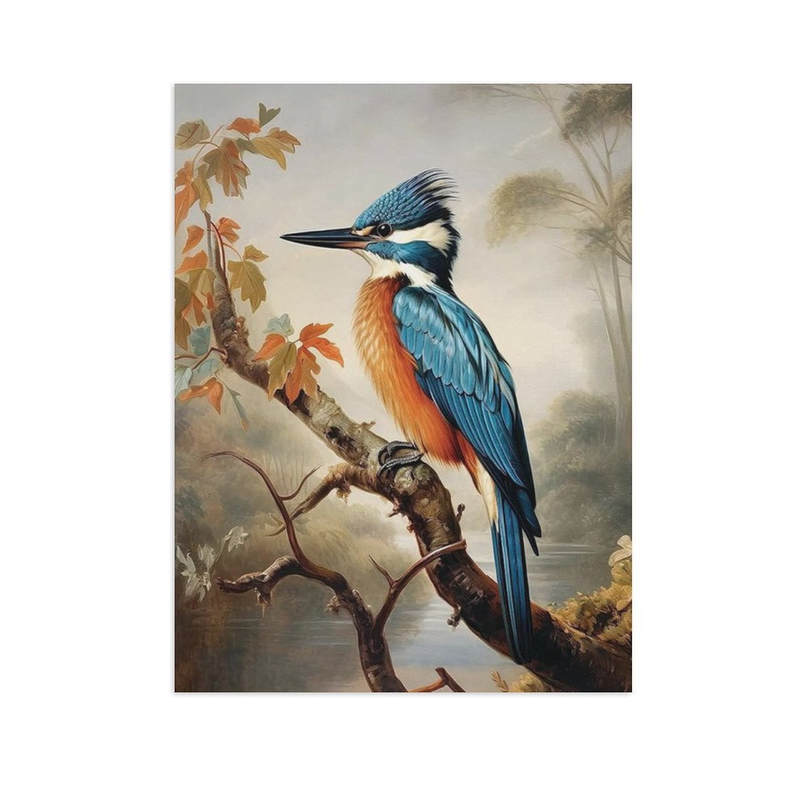 AVOI Kingfisher Poster Art Print Retro Vintage Bird Wall Art Poster ...