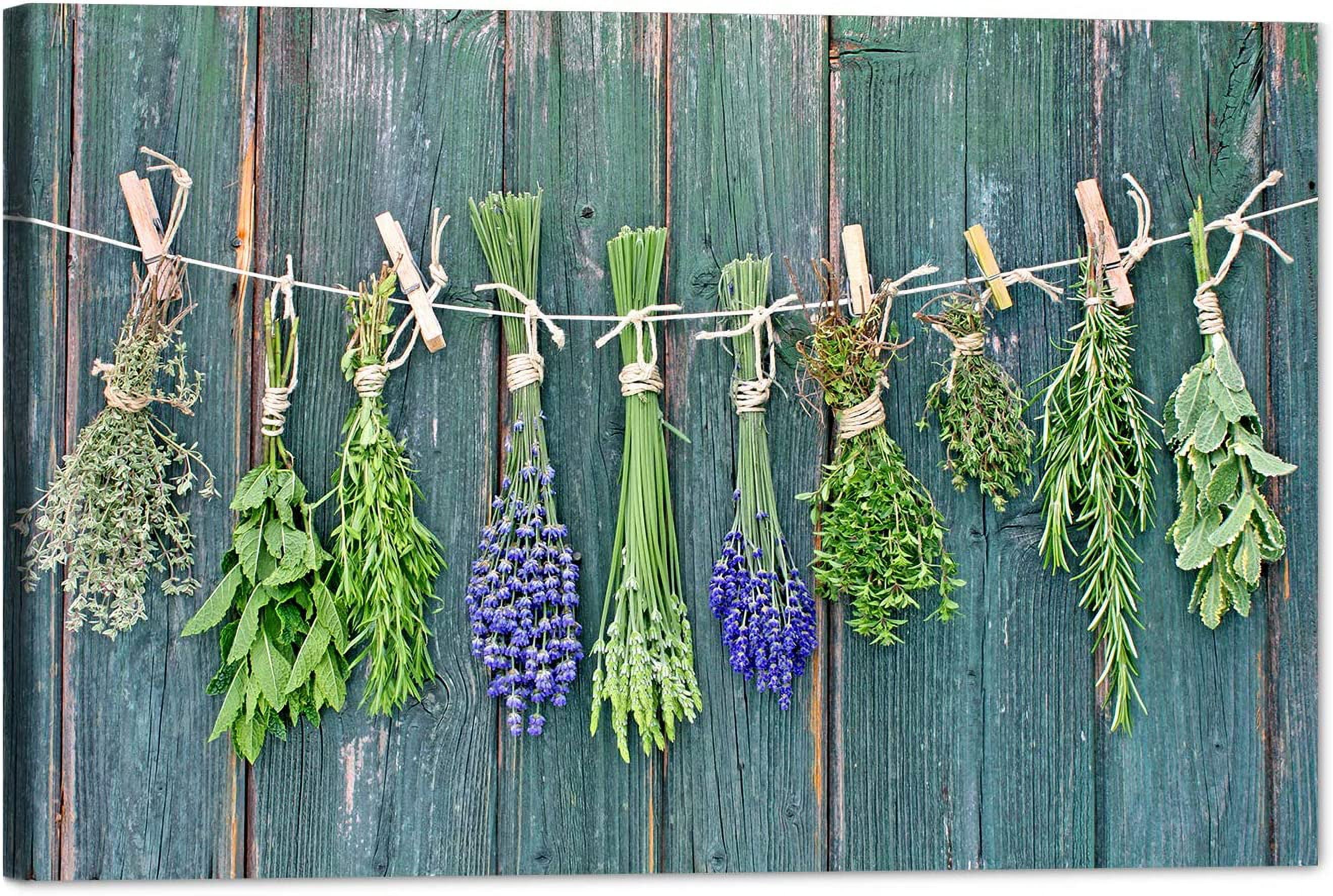 AVOI Kitchen Canvas Wall Art Spices Plants Picture Dining Room Canvas ...