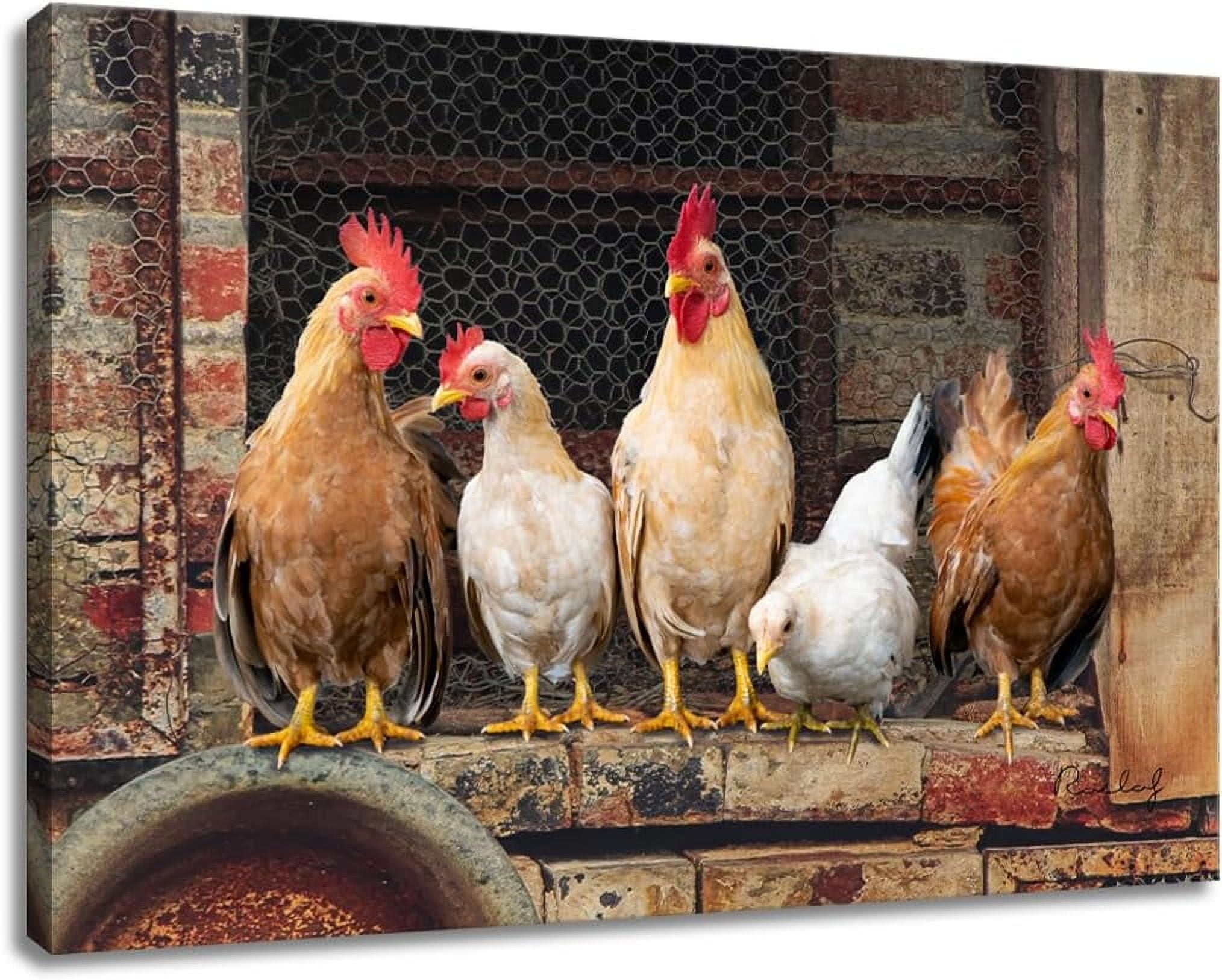 AVOI Kitchen Chicken Farm Wall Art Farmhouse Animal Rooster Picture on ...