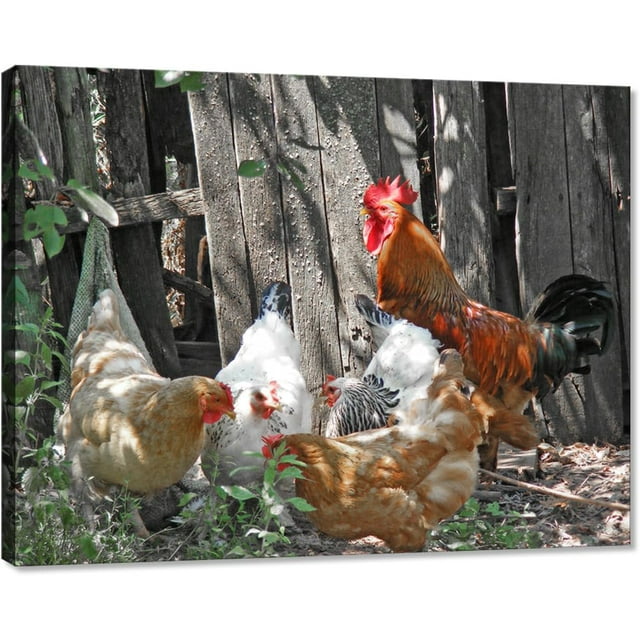 AVOI Kitchen Chicken Picture Wall Art Rustic Farm Rooster Animal Prints ...