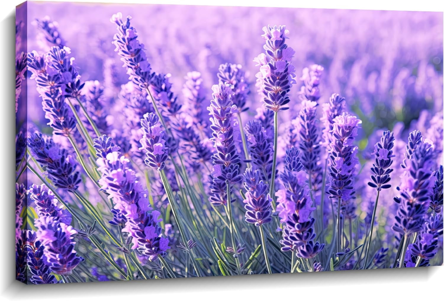 AVOI Lavender Canvas Wall Art Purple Flower and Scented Candle on Board ...