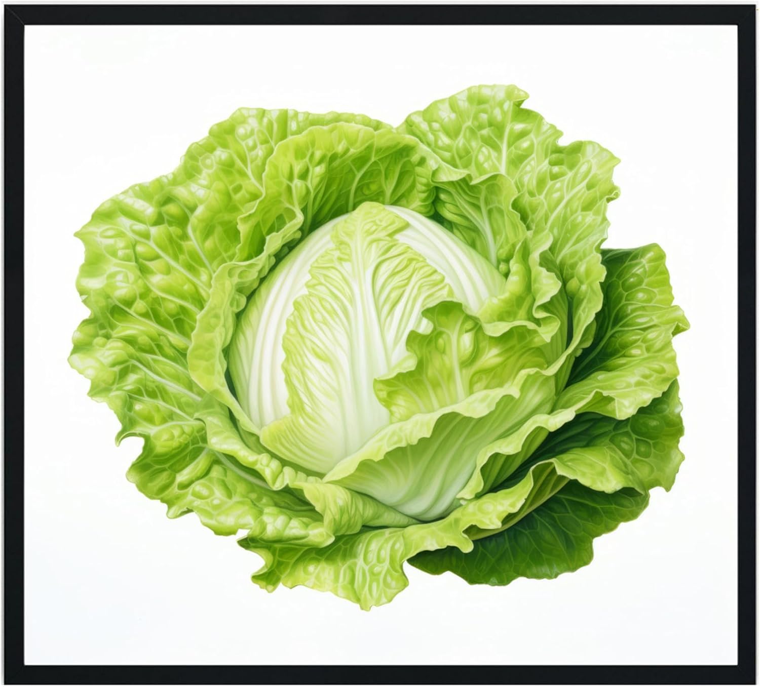 AVOI Lettuce art print poster, food culinary wall decor, Gourmet ...