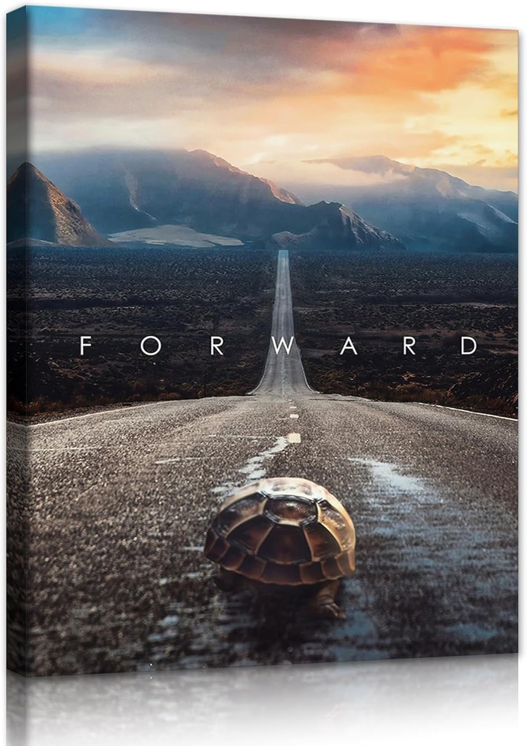 AVOI Mindset Forward Motivational Quote Wall Art, The Tortoise Crawls ...
