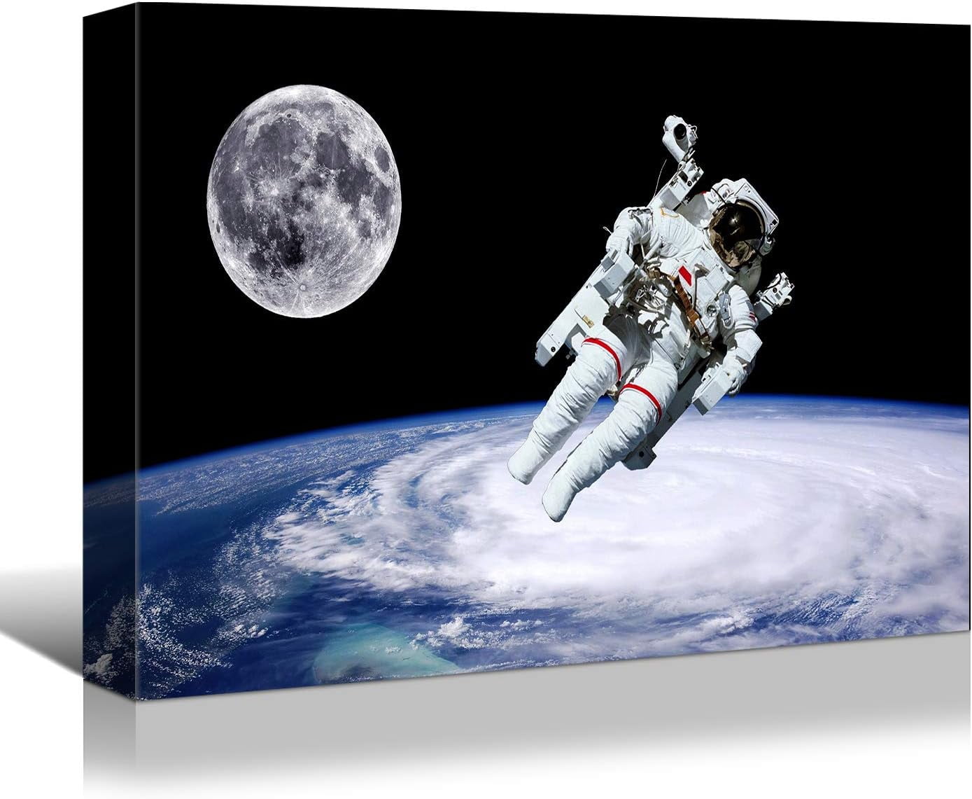 AVOI NASA Astronaut in Space Overlooking Planet Earth Educational and ...