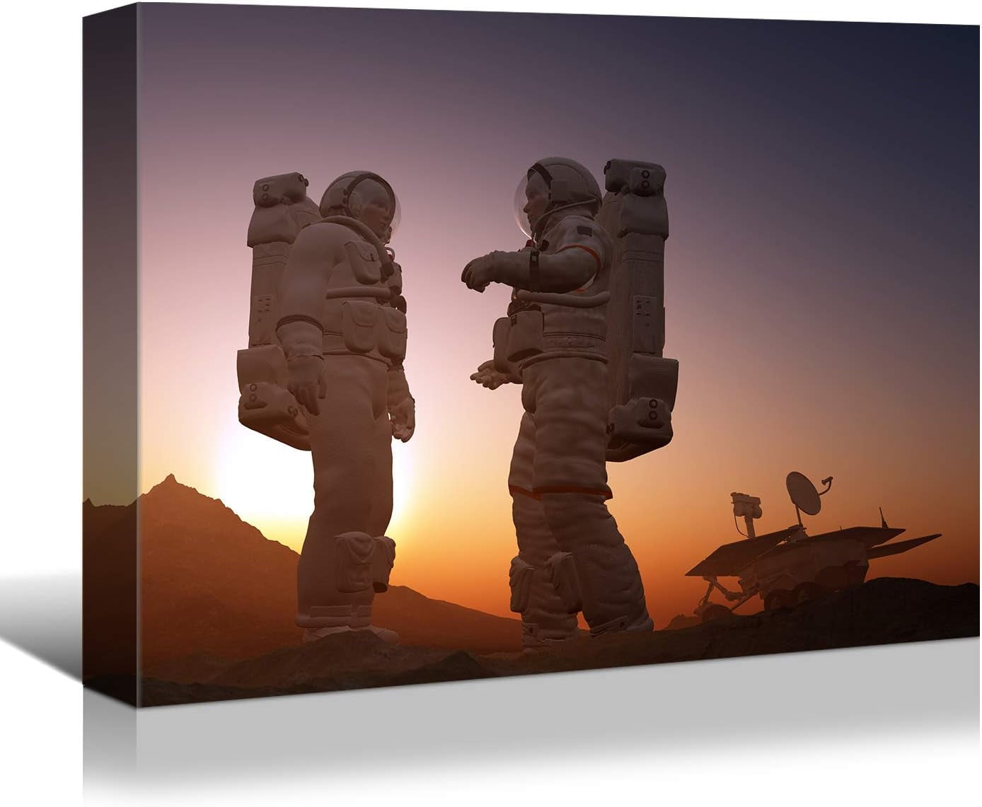 AVOI NASA Astronaut in Space Educational and Motivational Wall Decor ...