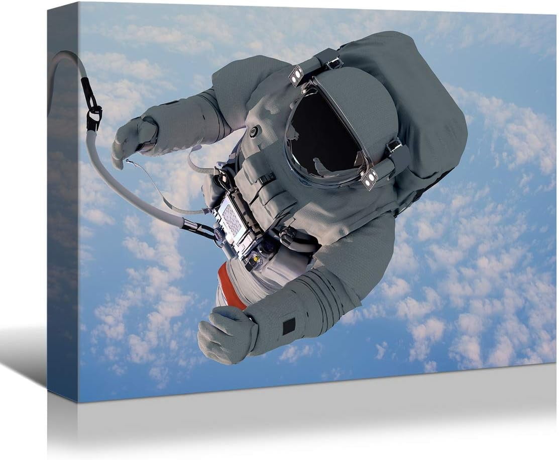 AVOI NASA Astronaut in Space Educational and Motivational Wall Decor ...